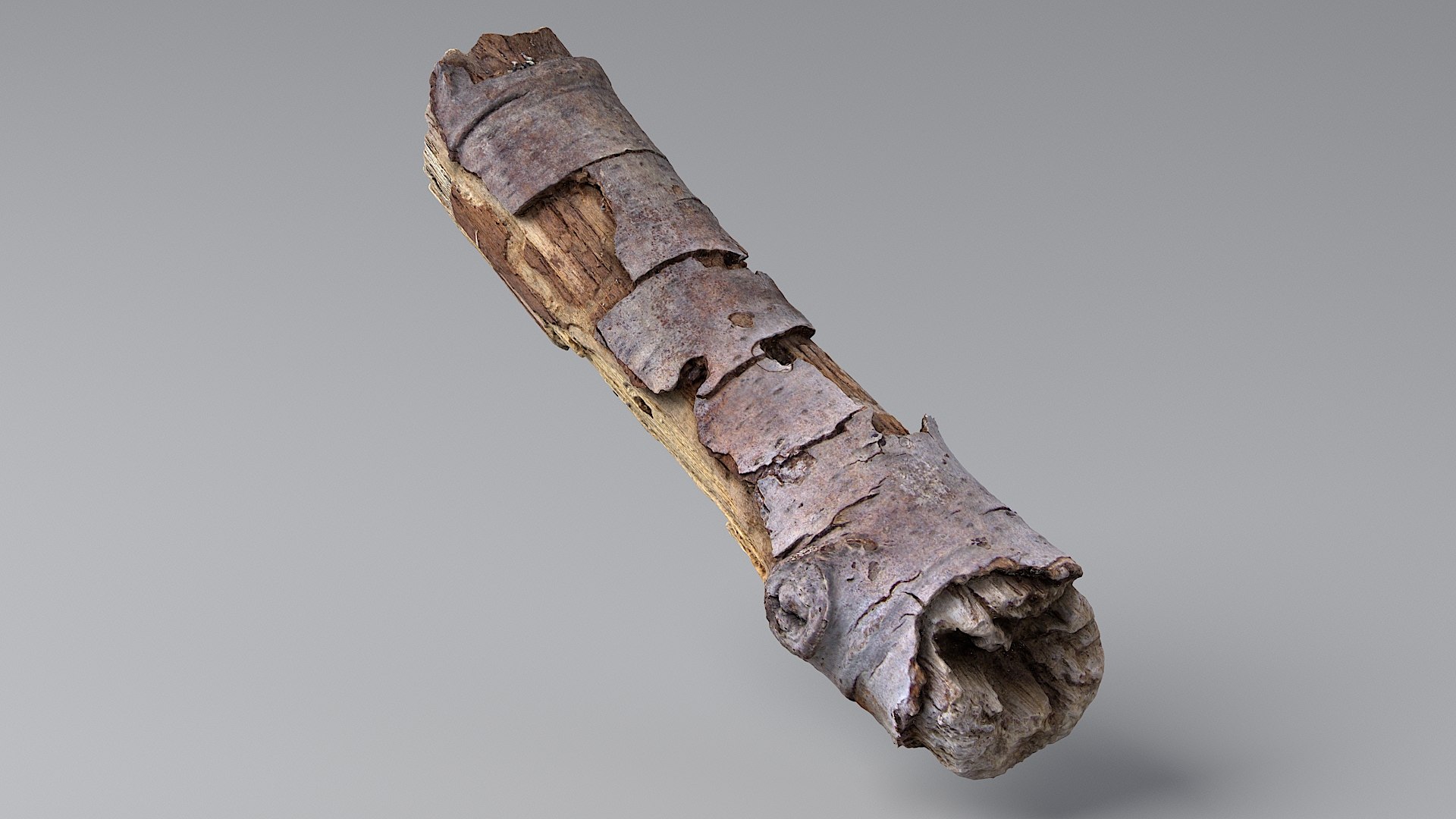 3D Twig 04 model - TurboSquid 1964128