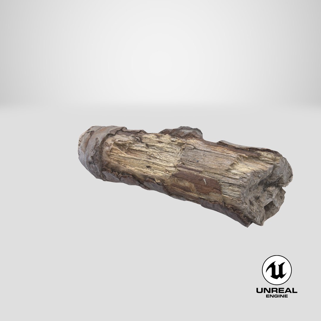 3D Twig 04 model - TurboSquid 1964128