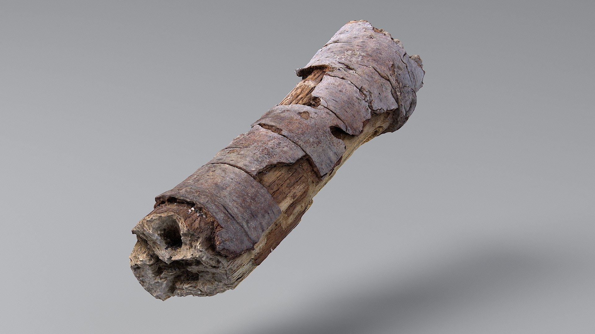 3D Twig 04 Model - TurboSquid 1964128