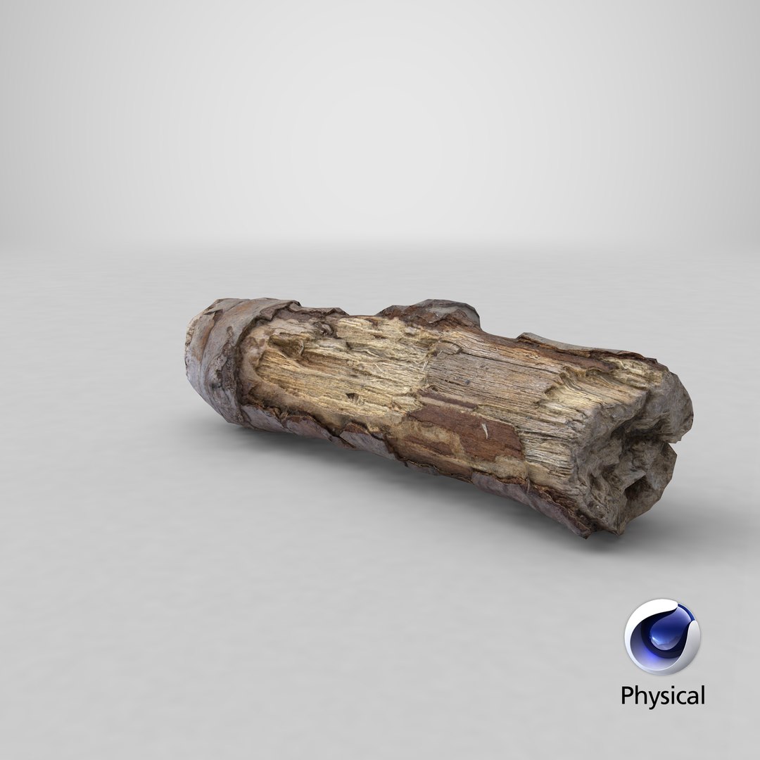 3D Twig 04 model - TurboSquid 1964128