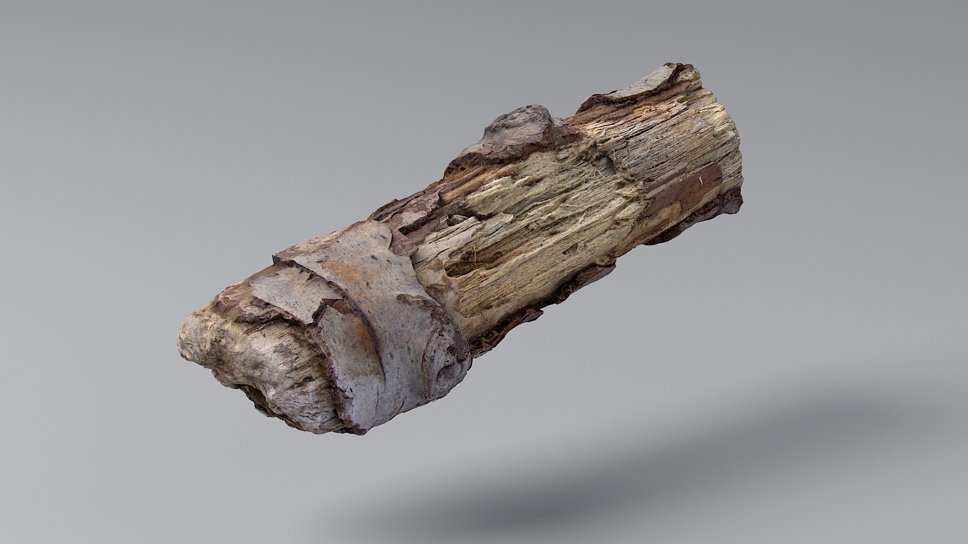 3D Twig 04 Model - TurboSquid 1964128