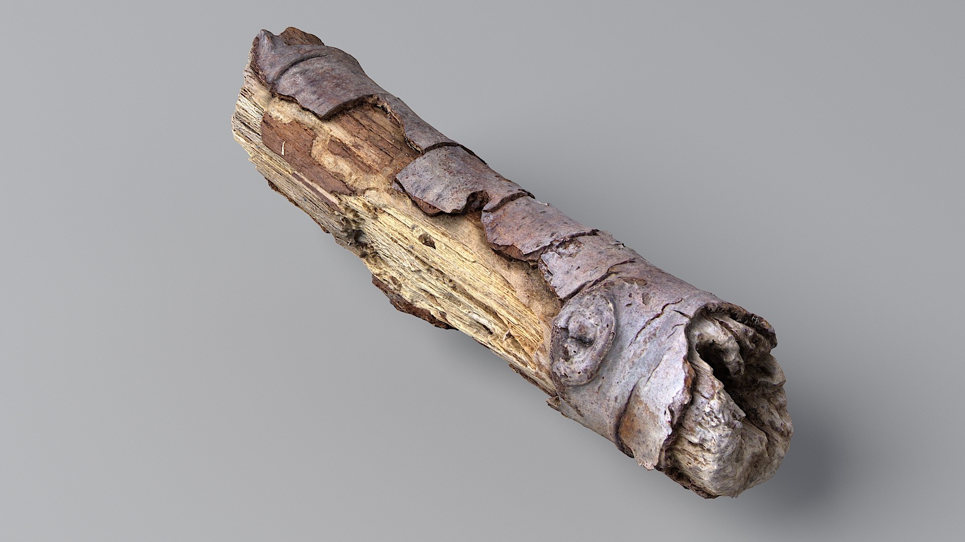 3D Twig 04 Model - TurboSquid 1964128