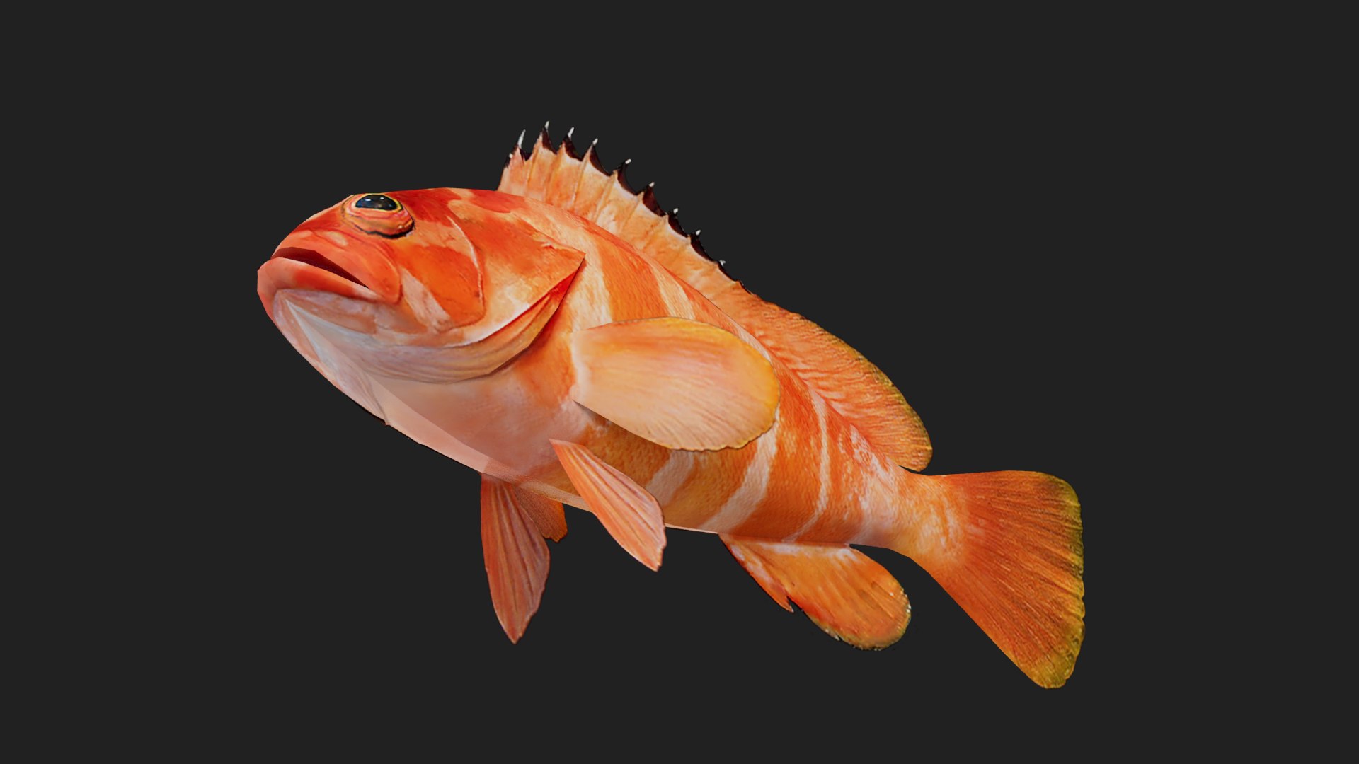 3D Bass Fish Model - TurboSquid 2123250