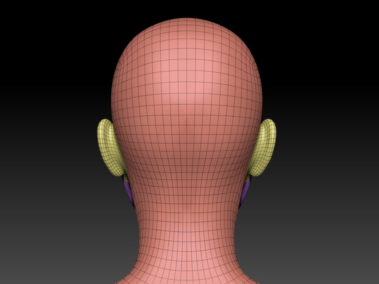 Woman Female Human C4d