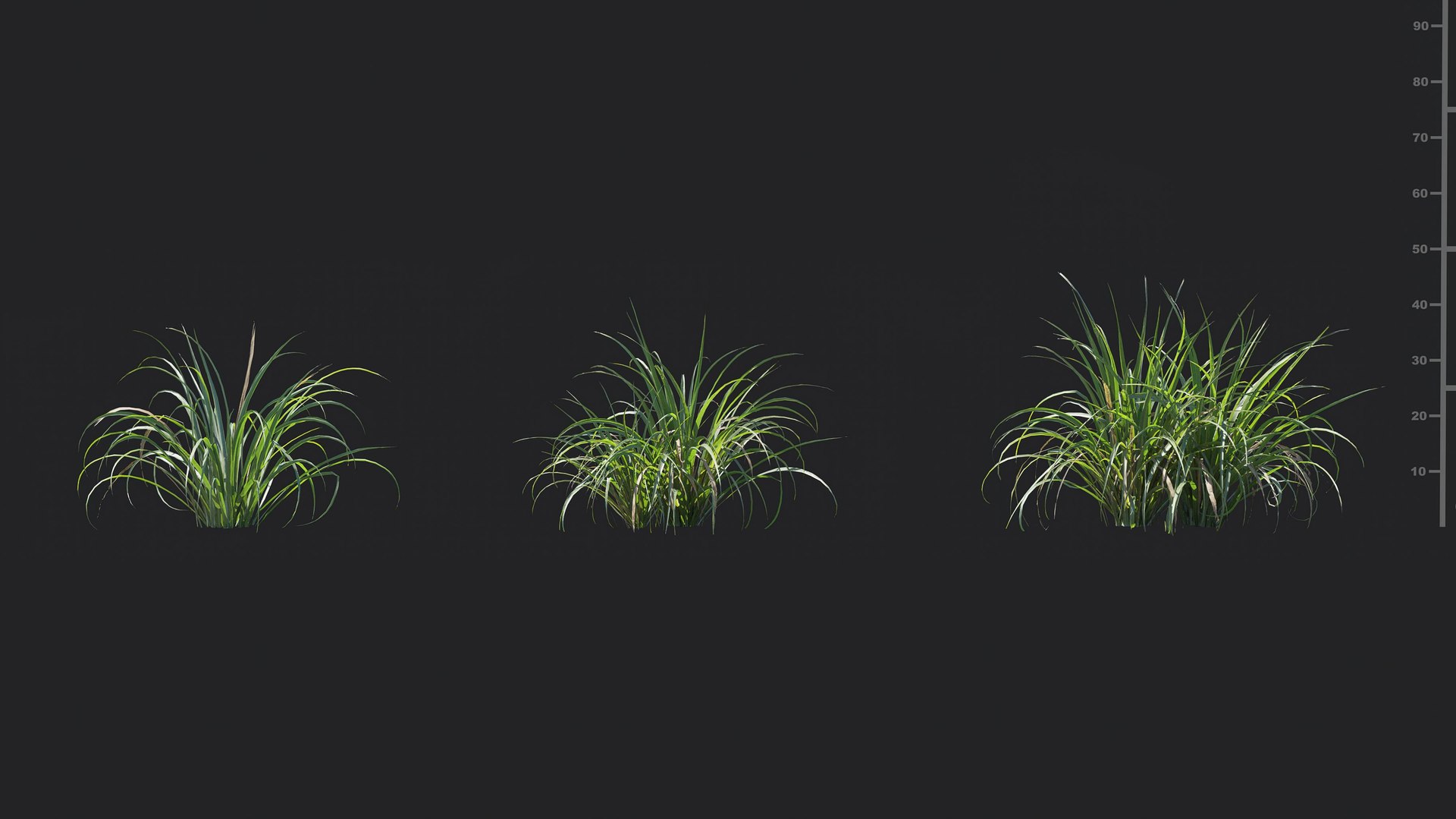 3D and plants Modern flowers model - TurboSquid 2121644
