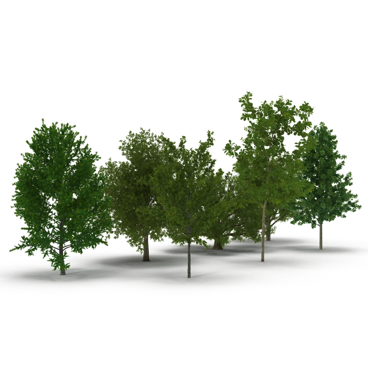 summer trees 3d max