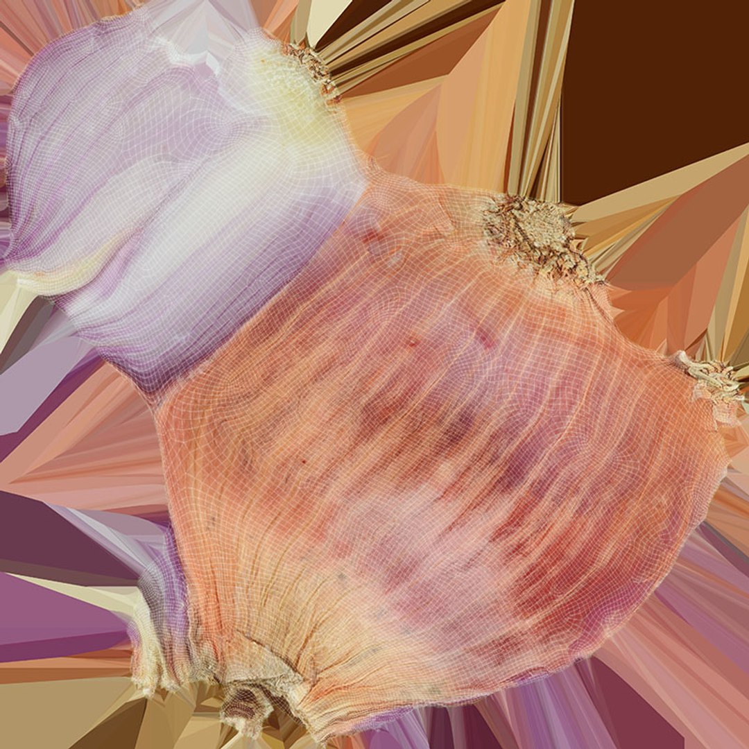 Shallot Collection 2 3D Model - TurboSquid 2210912