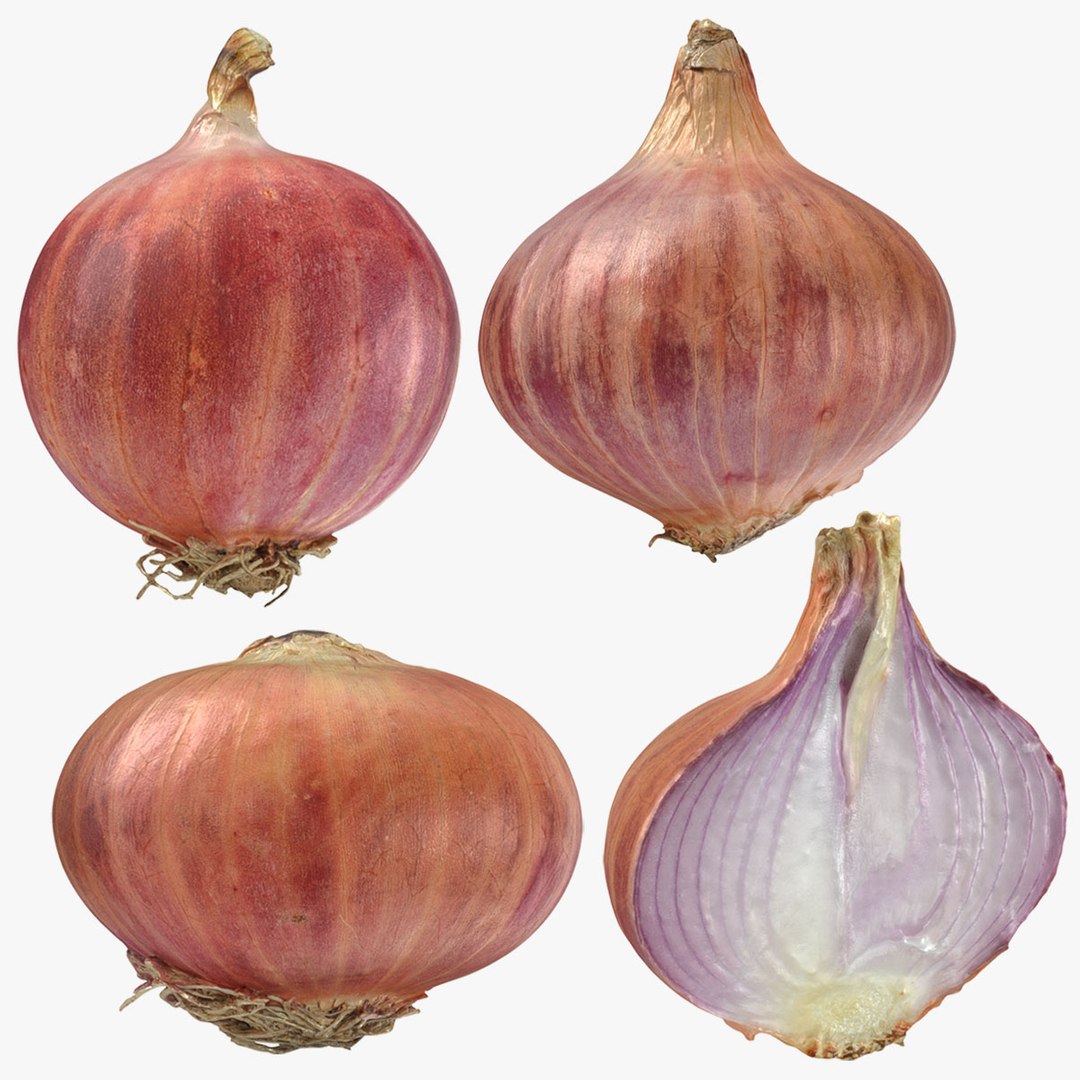 Shallot Collection 2 3D Model - TurboSquid 2210912