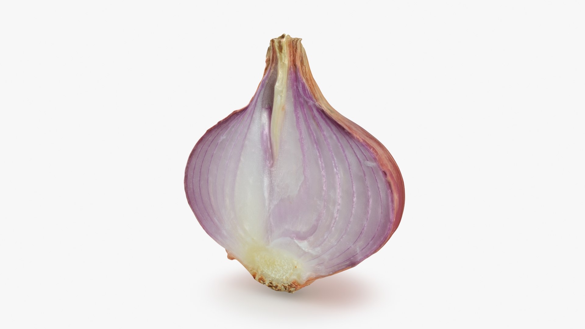 Shallot Collection 2 3D Model - TurboSquid 2210912