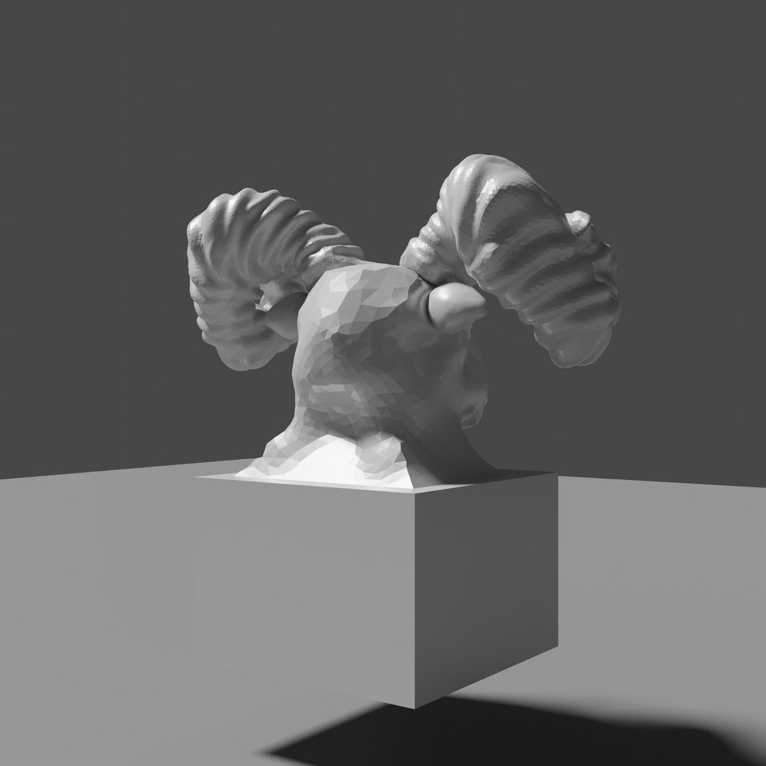 Stone Or Ceramic Ram Head Model - TurboSquid 2244590