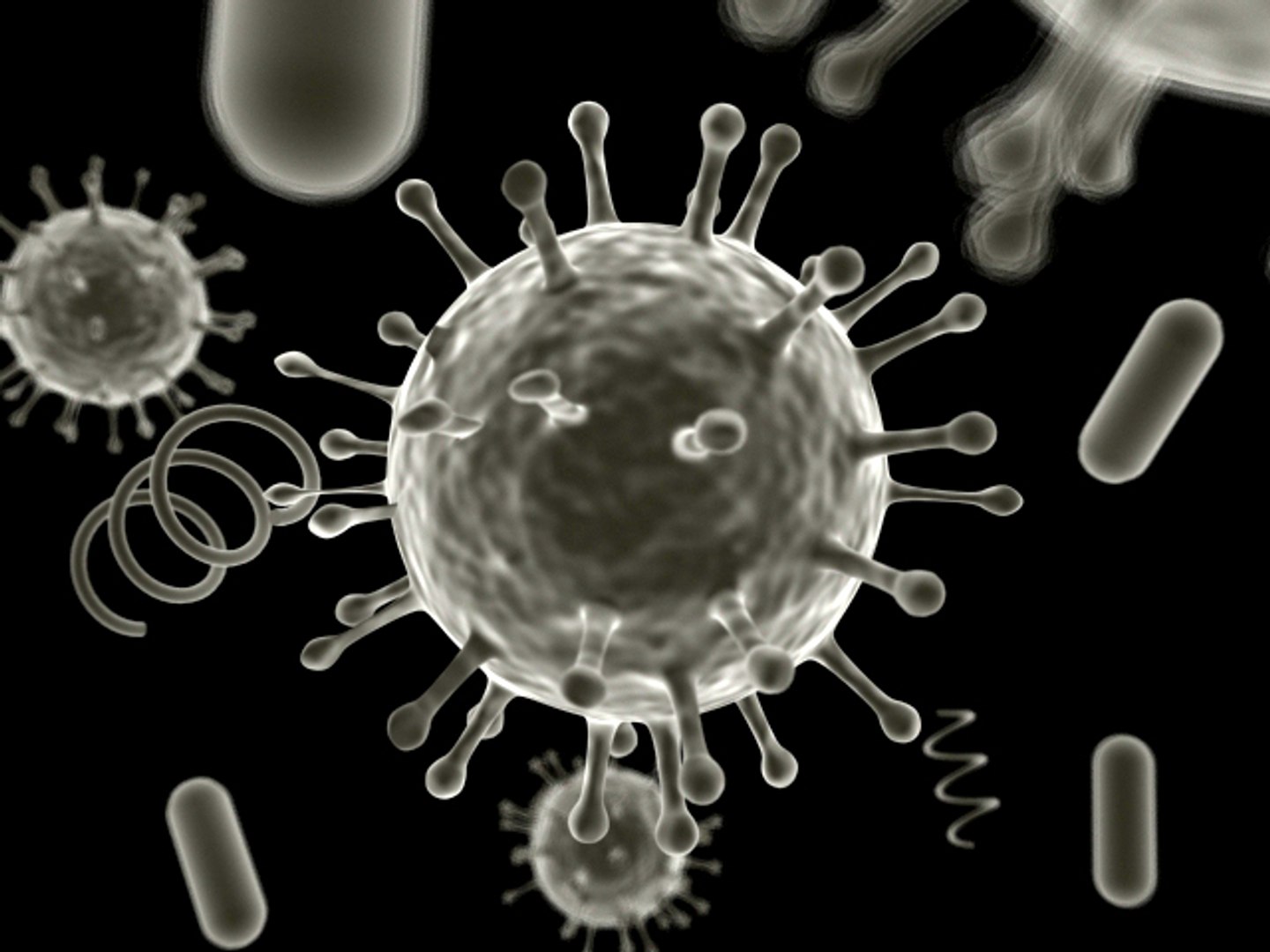 3d Virus Cell Model