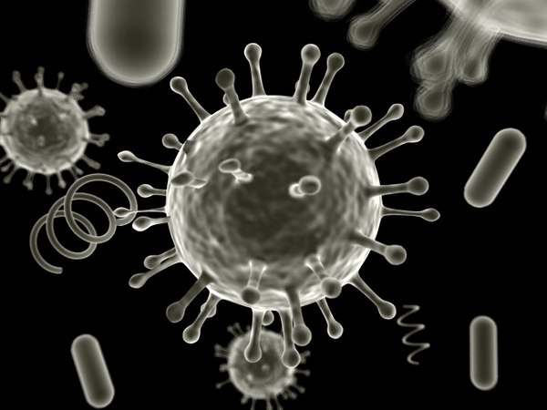 3d virus cell model