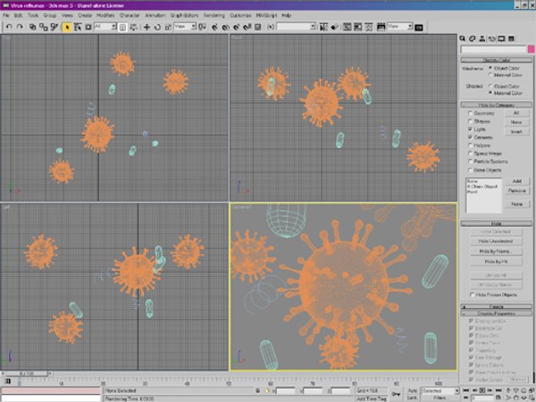 3d virus cell model