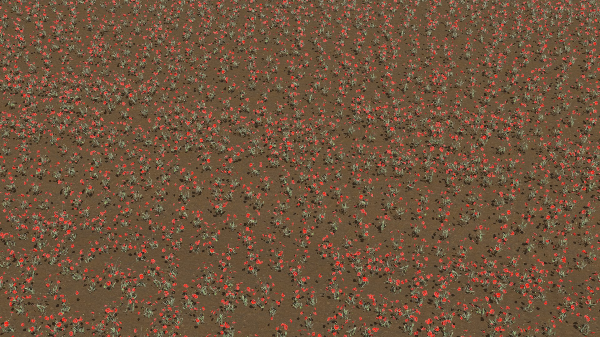 Poppy Field 3D model - TurboSquid 2043933