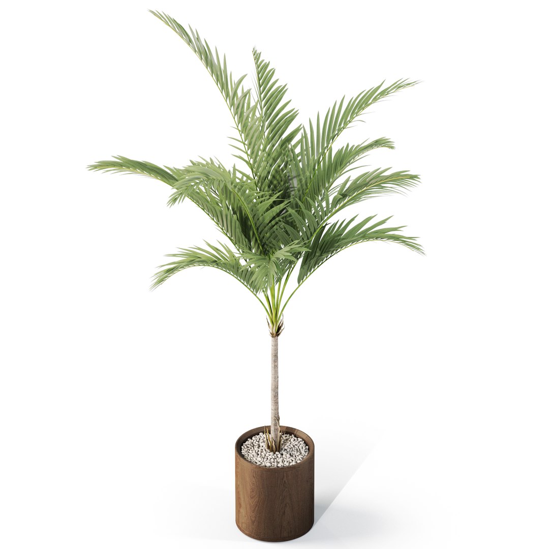 3D Plants Collection 1100 Model - TurboSquid 2248932