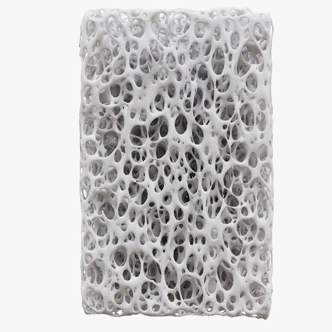 Bone Structure Model - TurboSquid 1814211