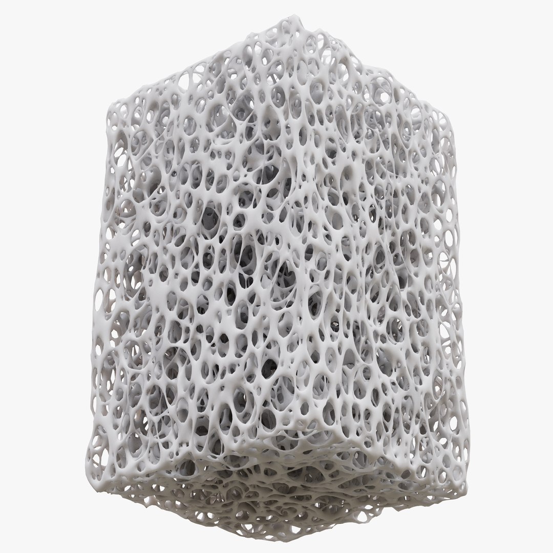 Bone Structure Model - TurboSquid 1814211