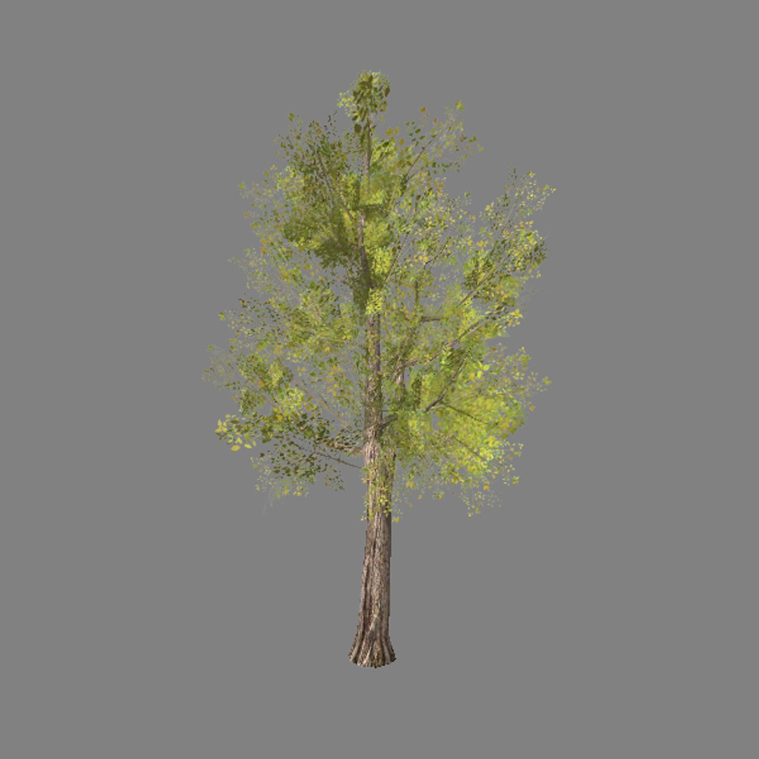 3d Model Tree 01