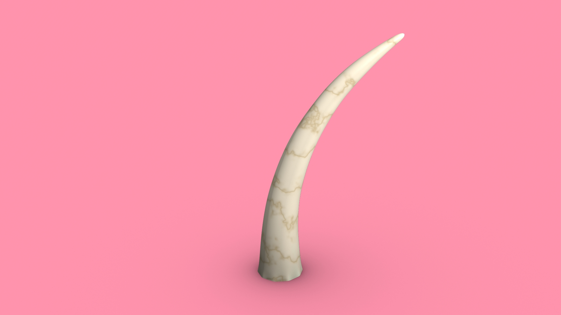 Pulsellum Lofotense 3D Model - TurboSquid 1852816