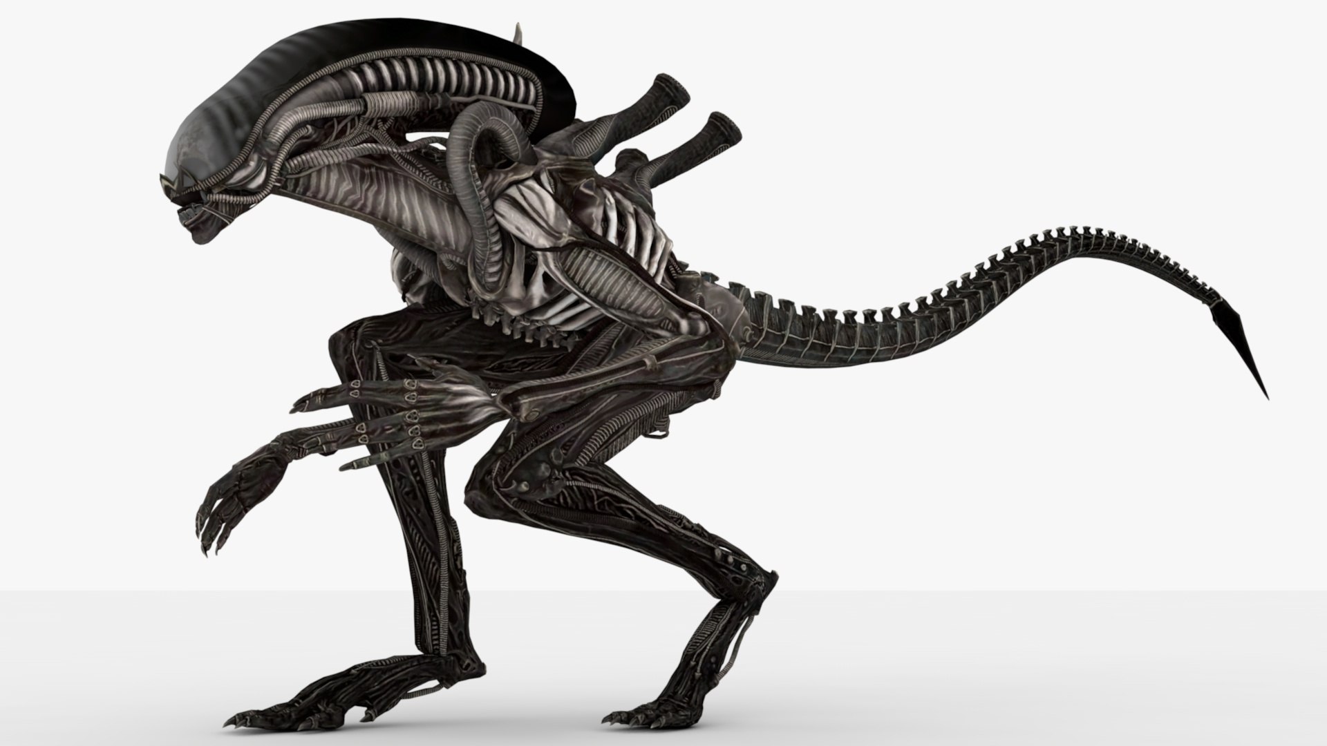 Alien Creature Rigged And 29 Animations 3D Model - TurboSquid 2376055