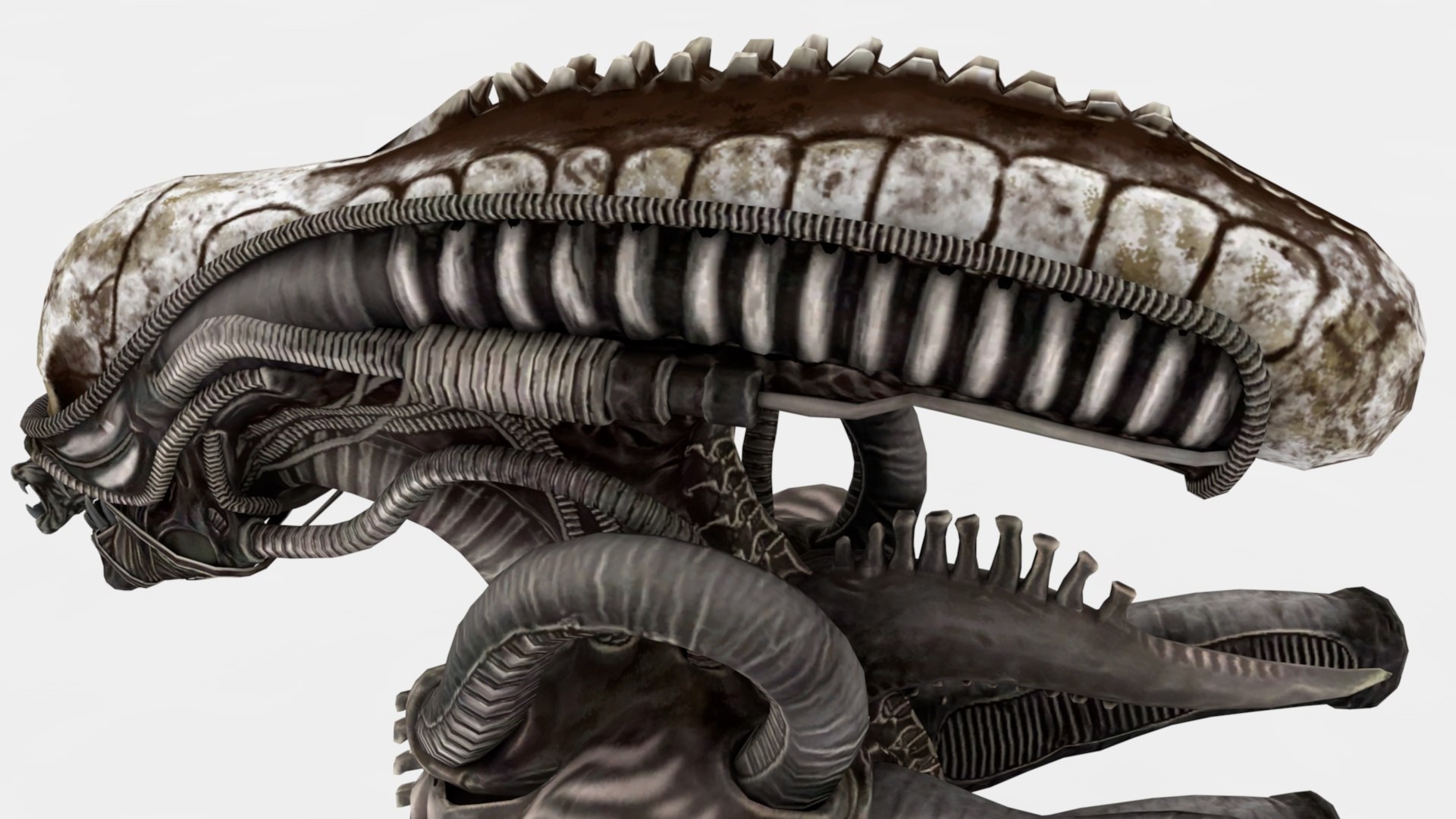 Alien Creature Rigged And 29 Animations 3D Model - TurboSquid 2376055
