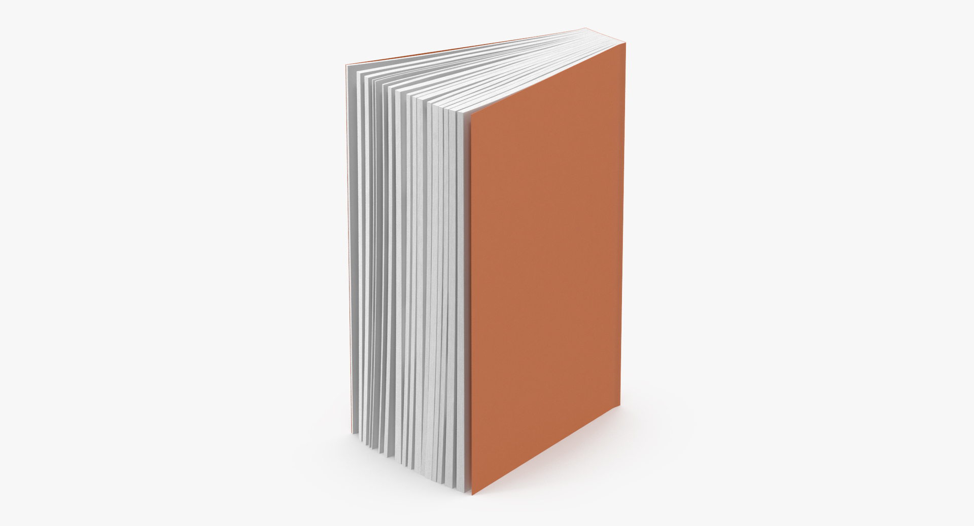 Slightly Open Book Standing