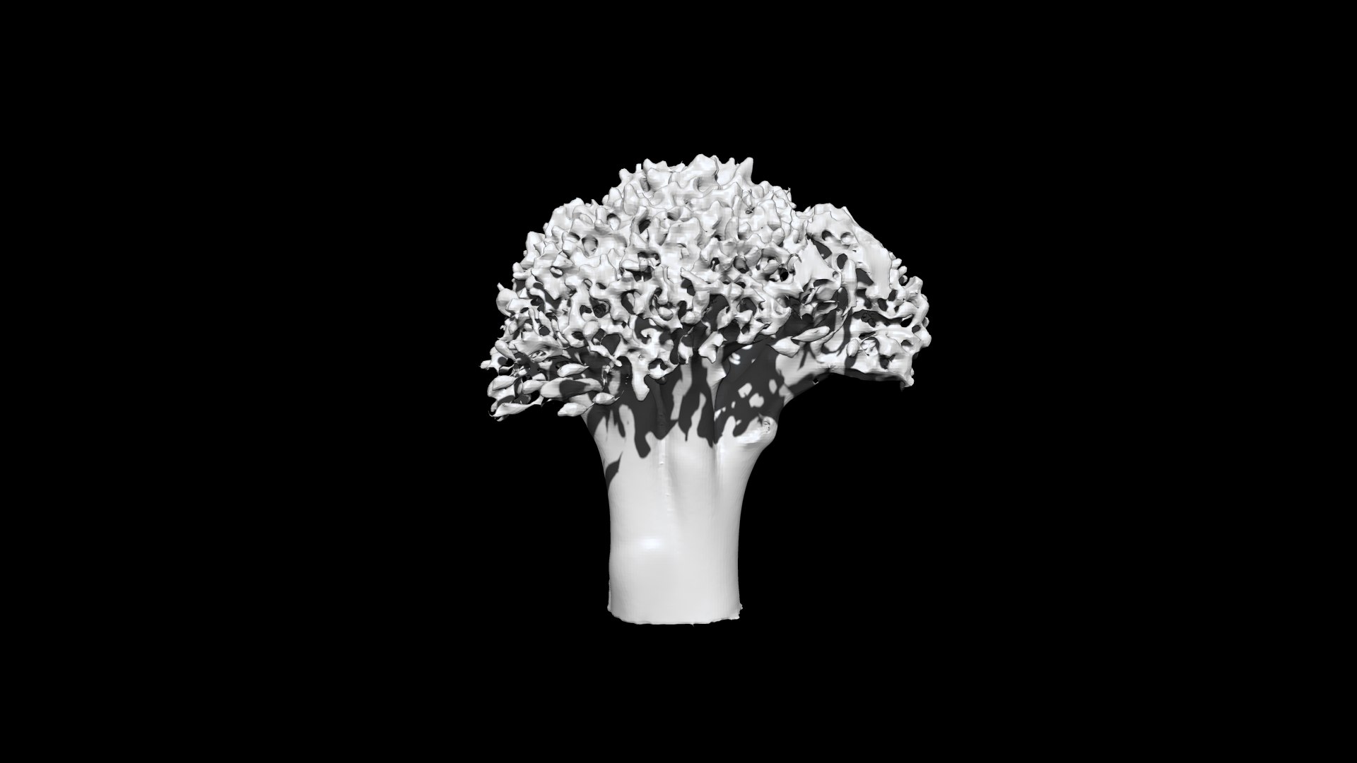 Broccoli Cut 3D CT Scan Model 6 3D Model - TurboSquid 1886461