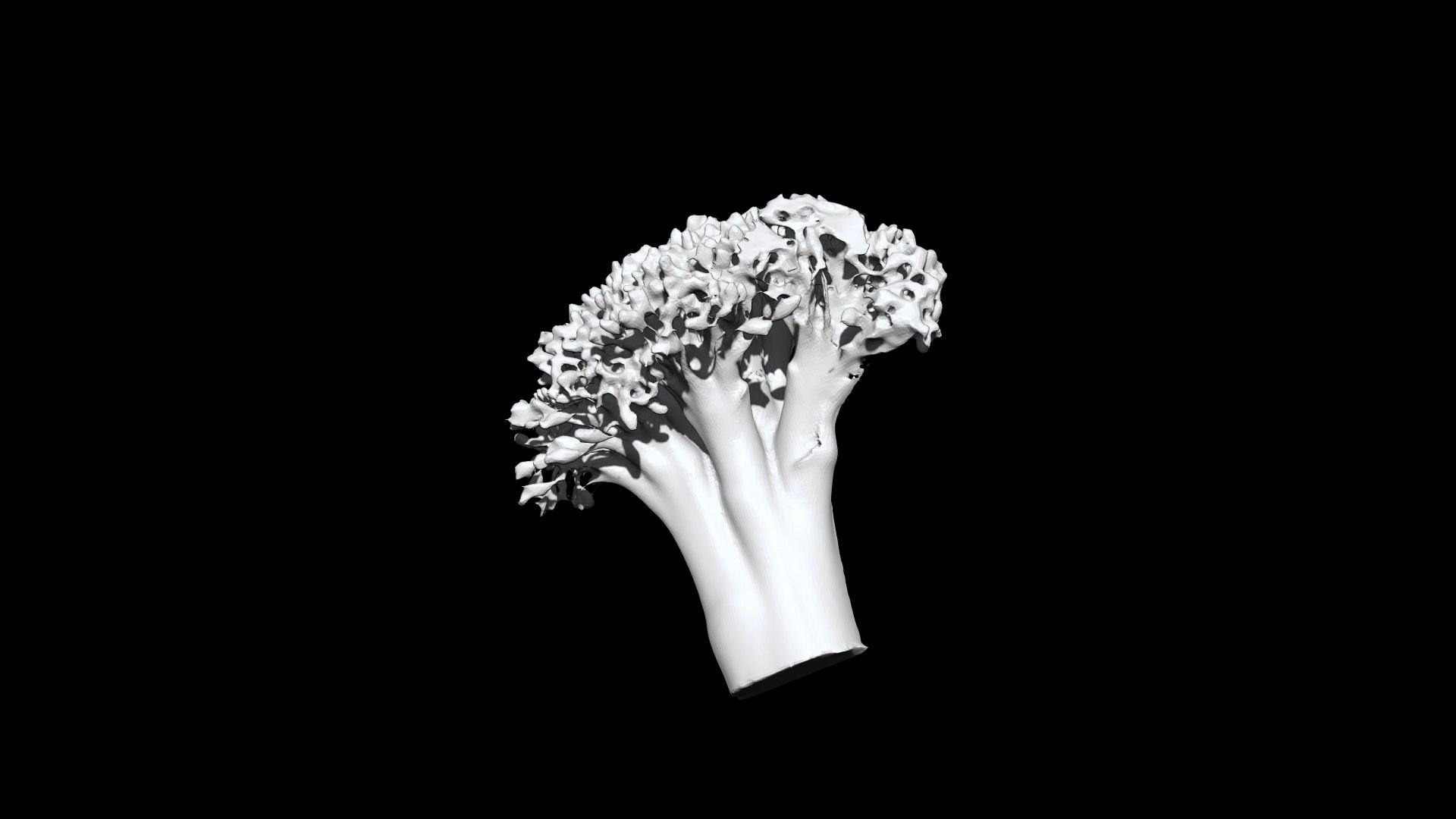 Broccoli Cut 3D CT Scan Model 6 3D Model - TurboSquid 1886461