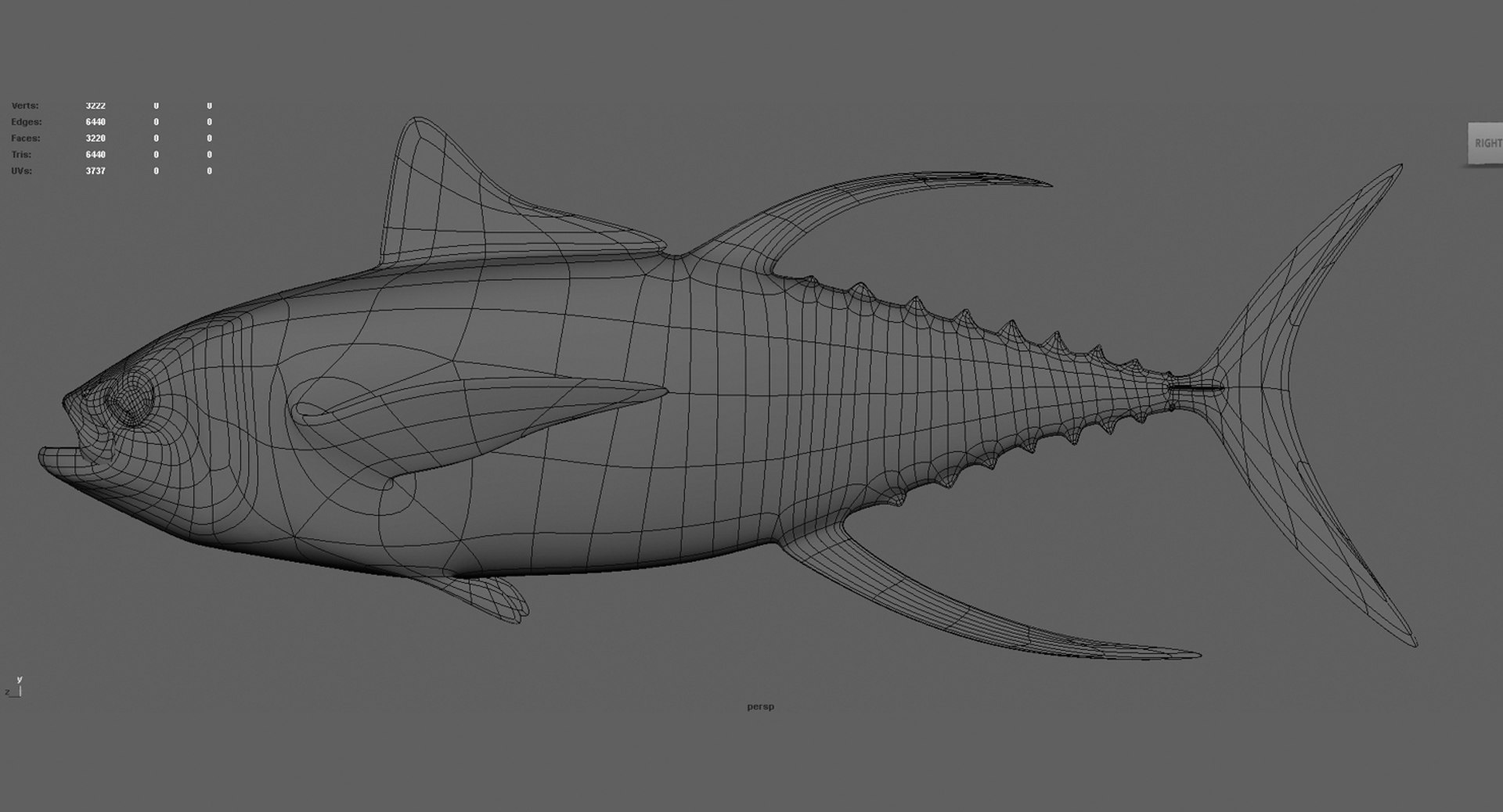 Yellow Fin Tuna 3d Fbx