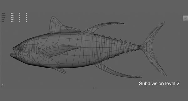 yellow fin tuna 3d fbx