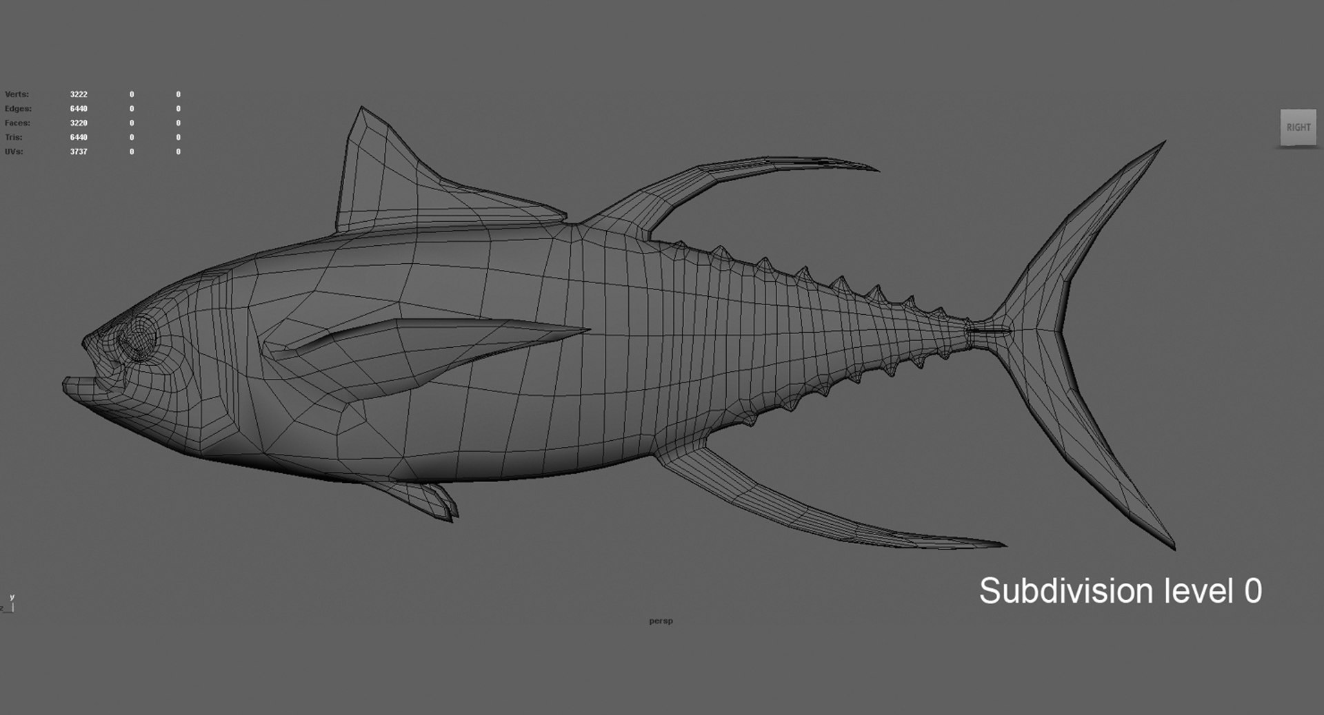 Yellow Fin Tuna 3d Fbx