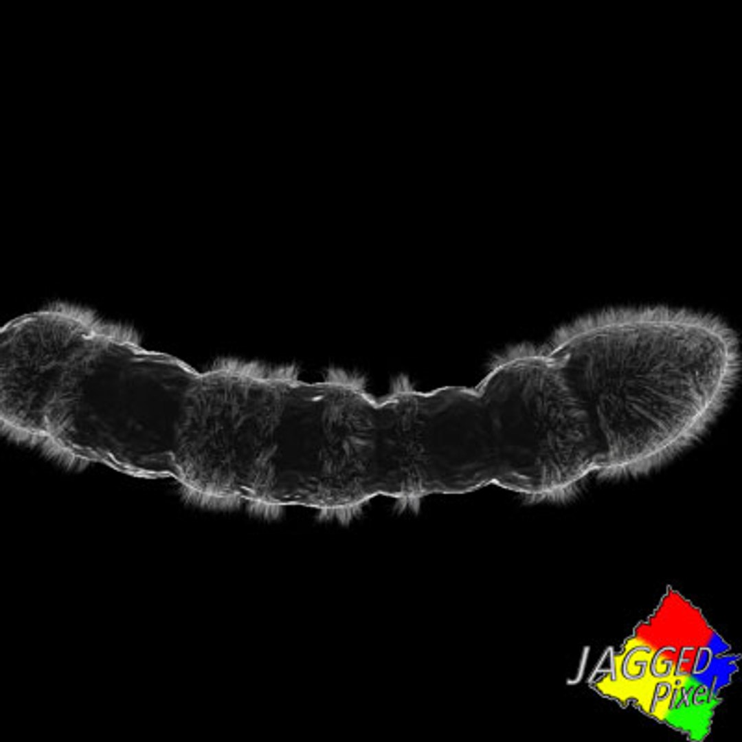 3d Haploid Cell Science Model