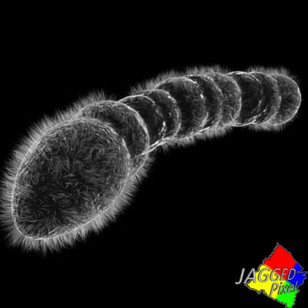 3d Haploid Cell Science Model