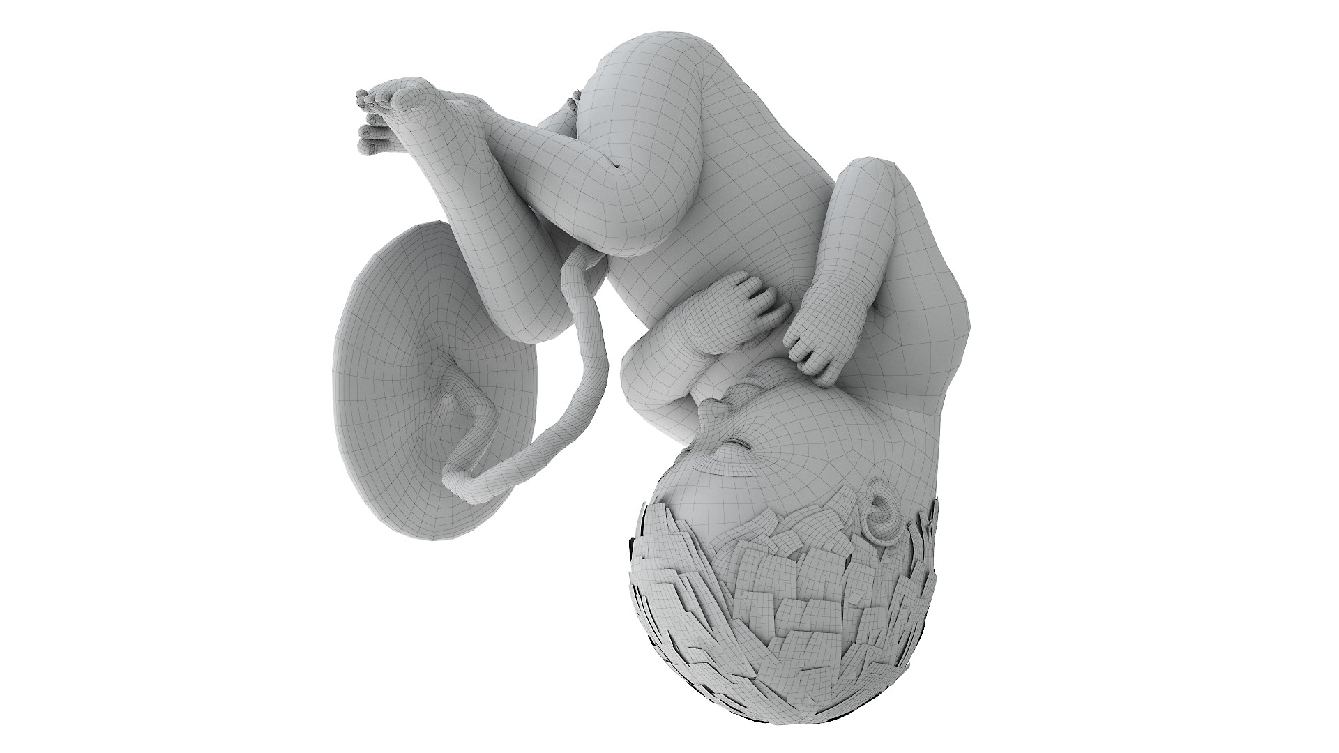 modelo 3d Feto Semana 37 Animado - TurboSquid 1852746