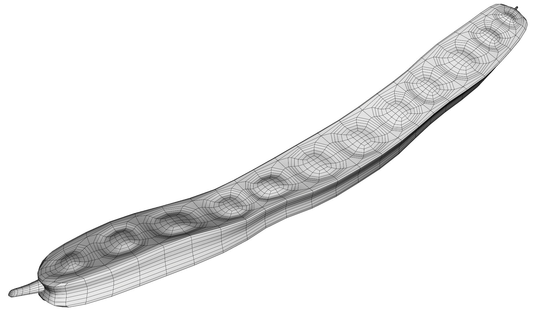 Carob Fruit 3D Model - TurboSquid 1644323