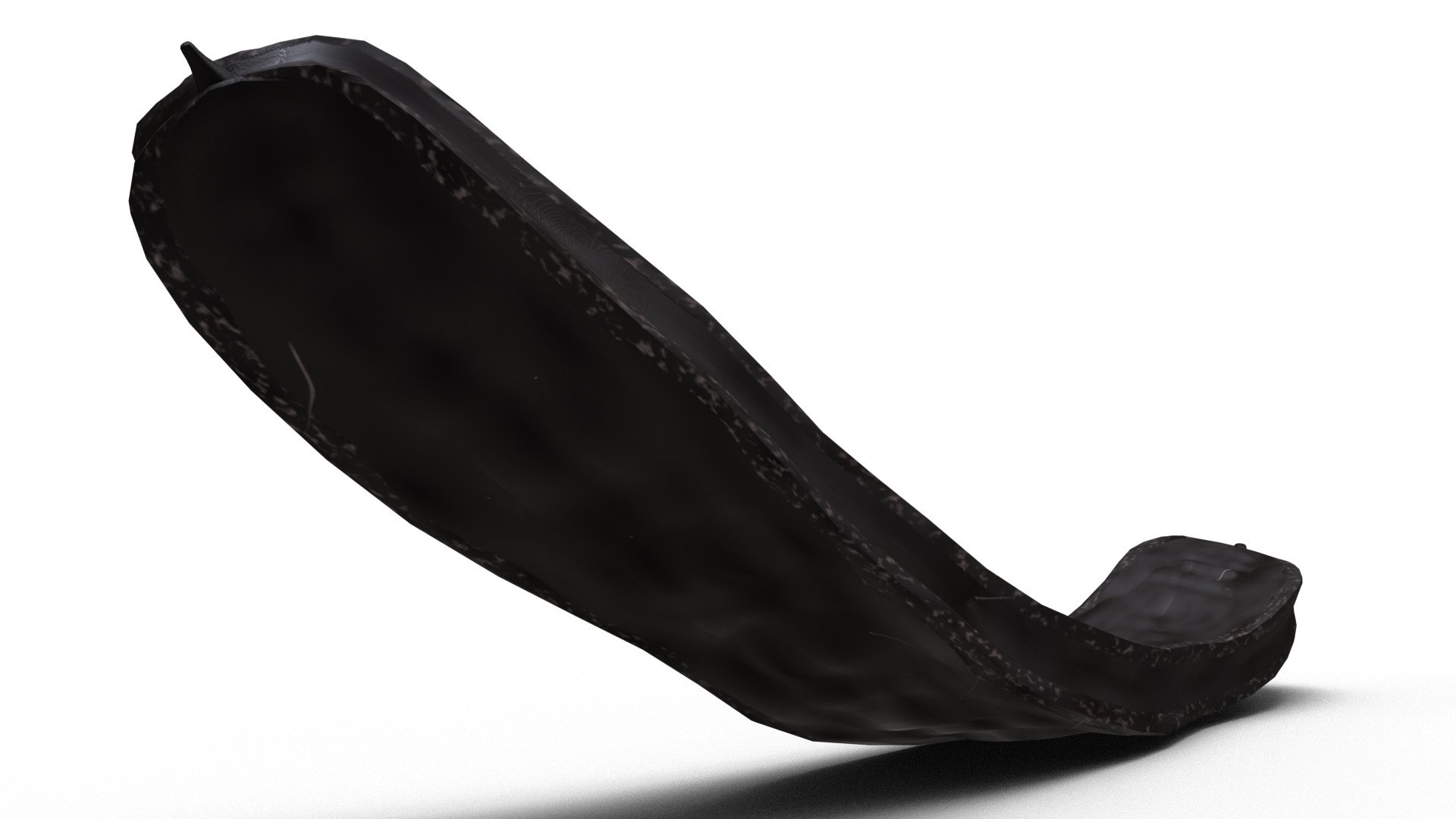 Carob Fruit 3D Model - TurboSquid 1644323