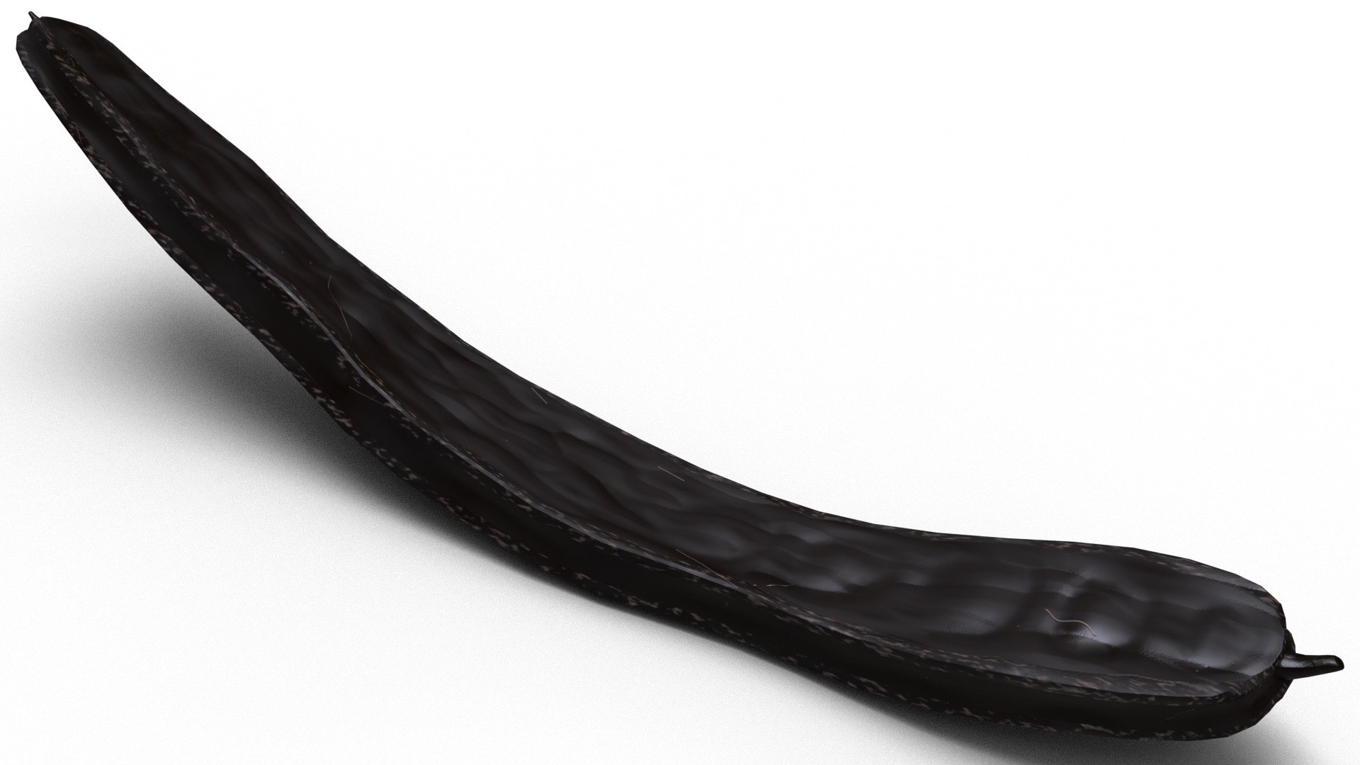 Carob Fruit 3D Model - TurboSquid 1644323