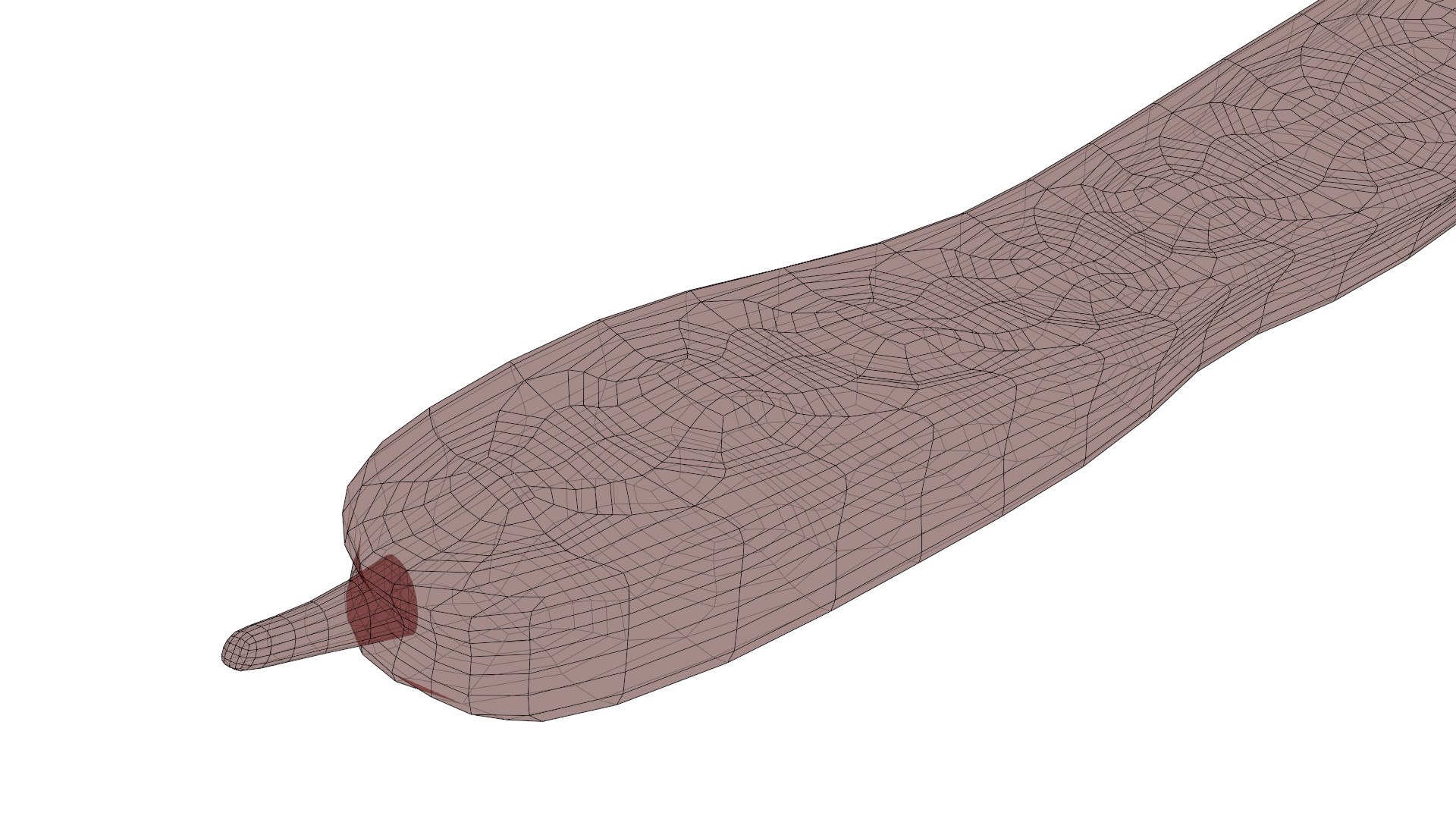 Carob Fruit 3D Model - TurboSquid 1644323