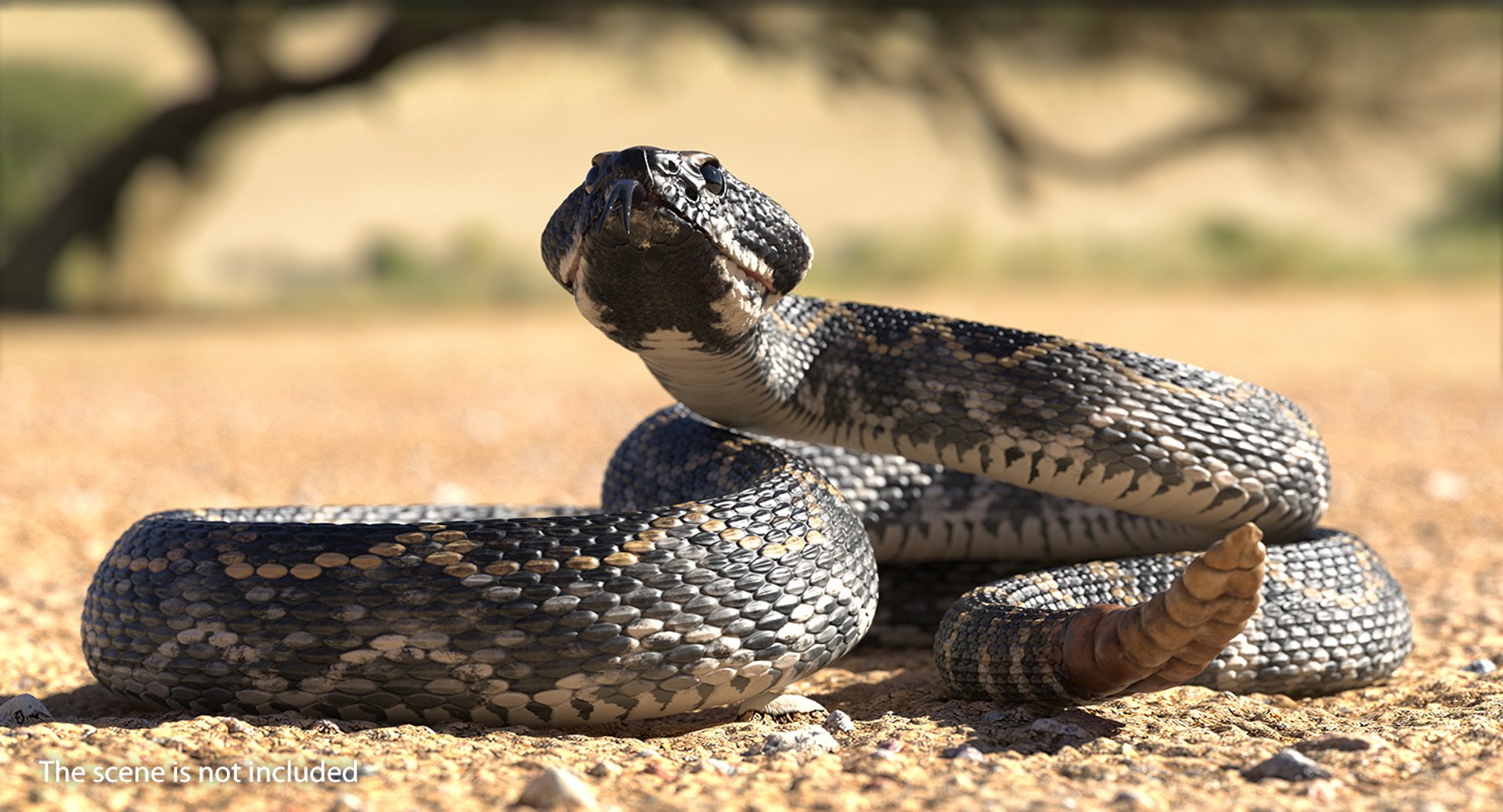 Giant dark rattlesnake snake 3D model - TurboSquid 1435505