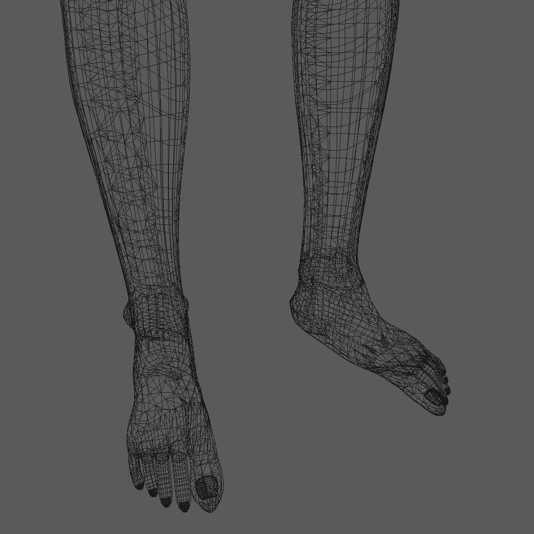3d Model Realistically Woman Legs