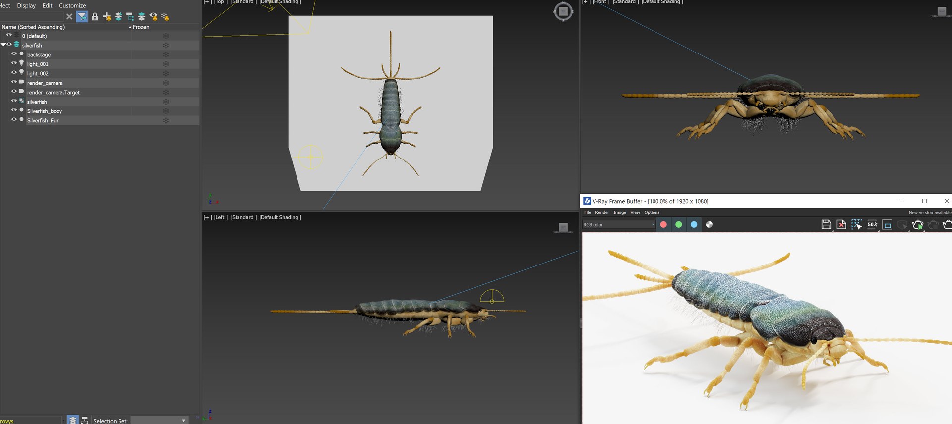 Silverfish Static 3D - TurboSquid 2069560