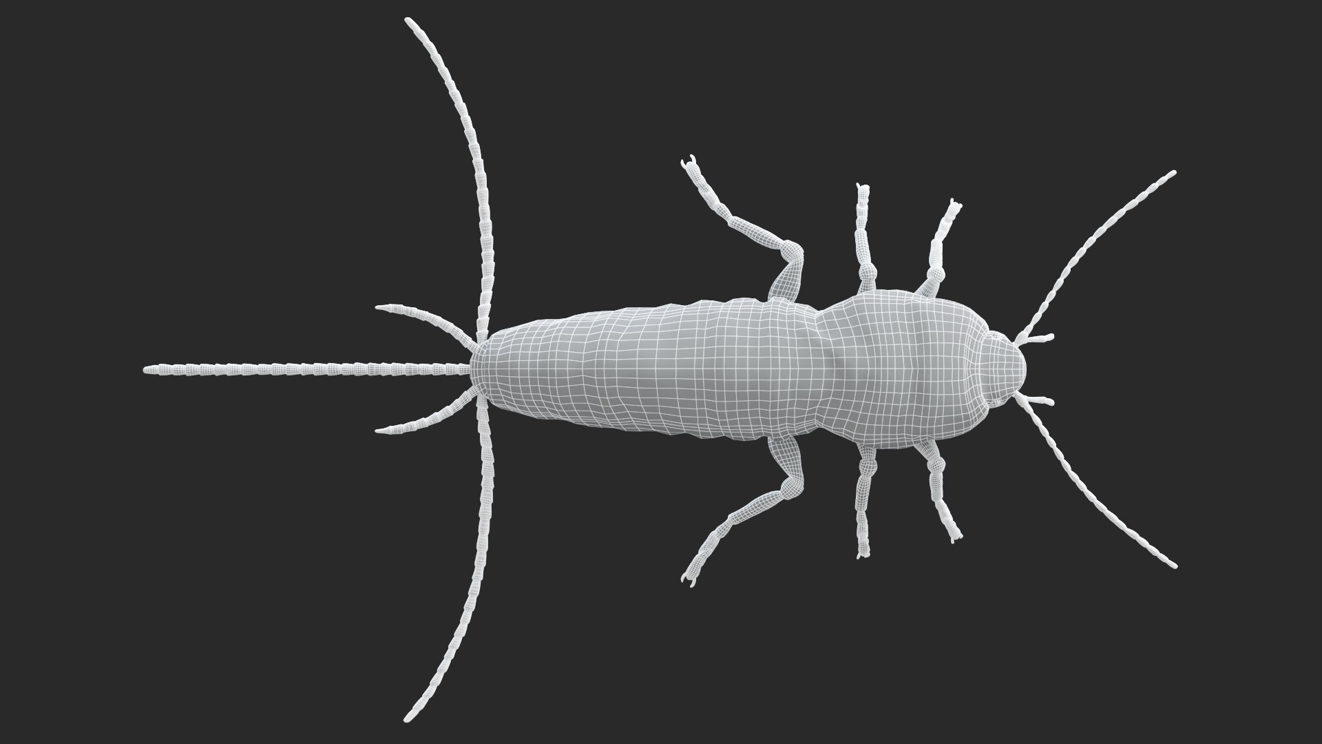 Silverfish Static 3D - TurboSquid 2069560
