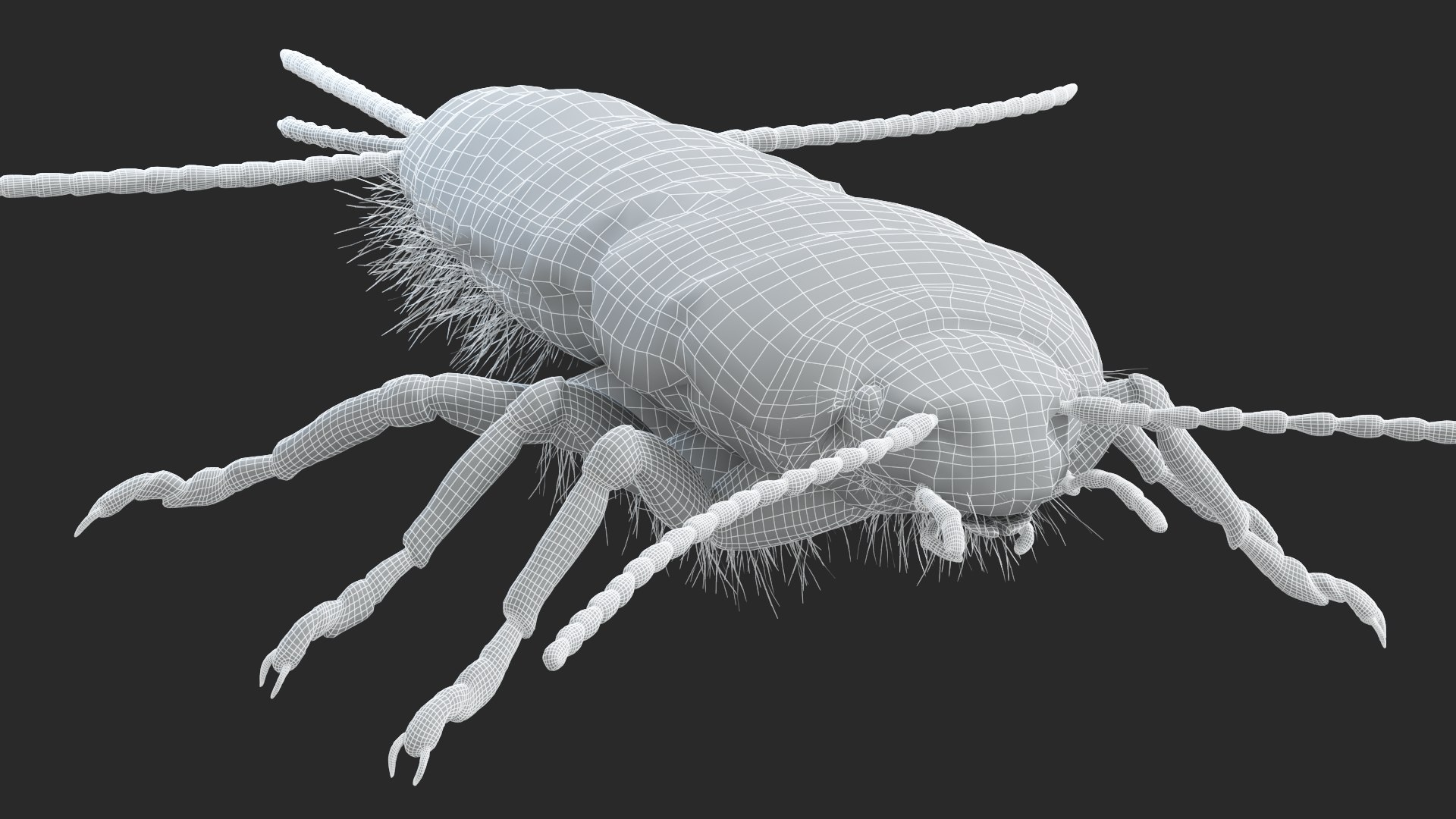 Silverfish Static 3D - TurboSquid 2069560