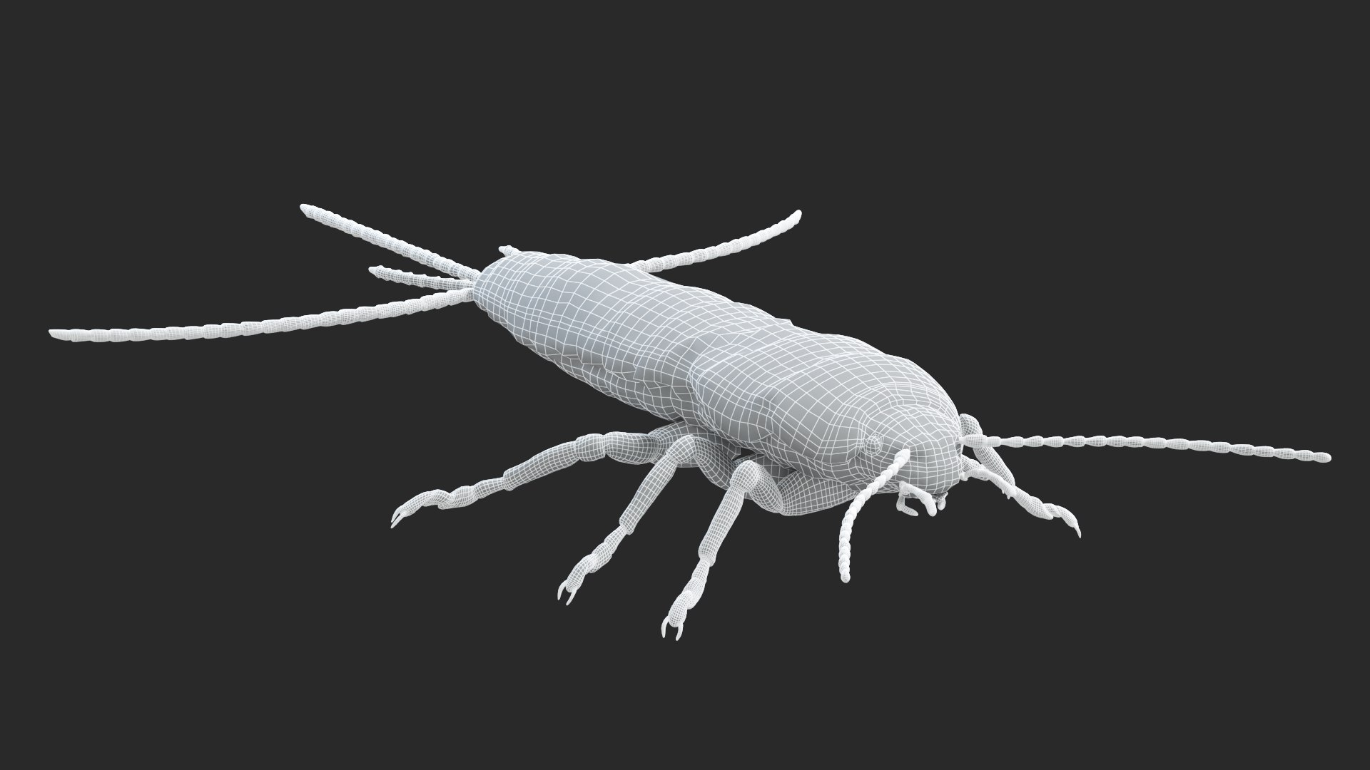 Silverfish Static 3D - TurboSquid 2069560