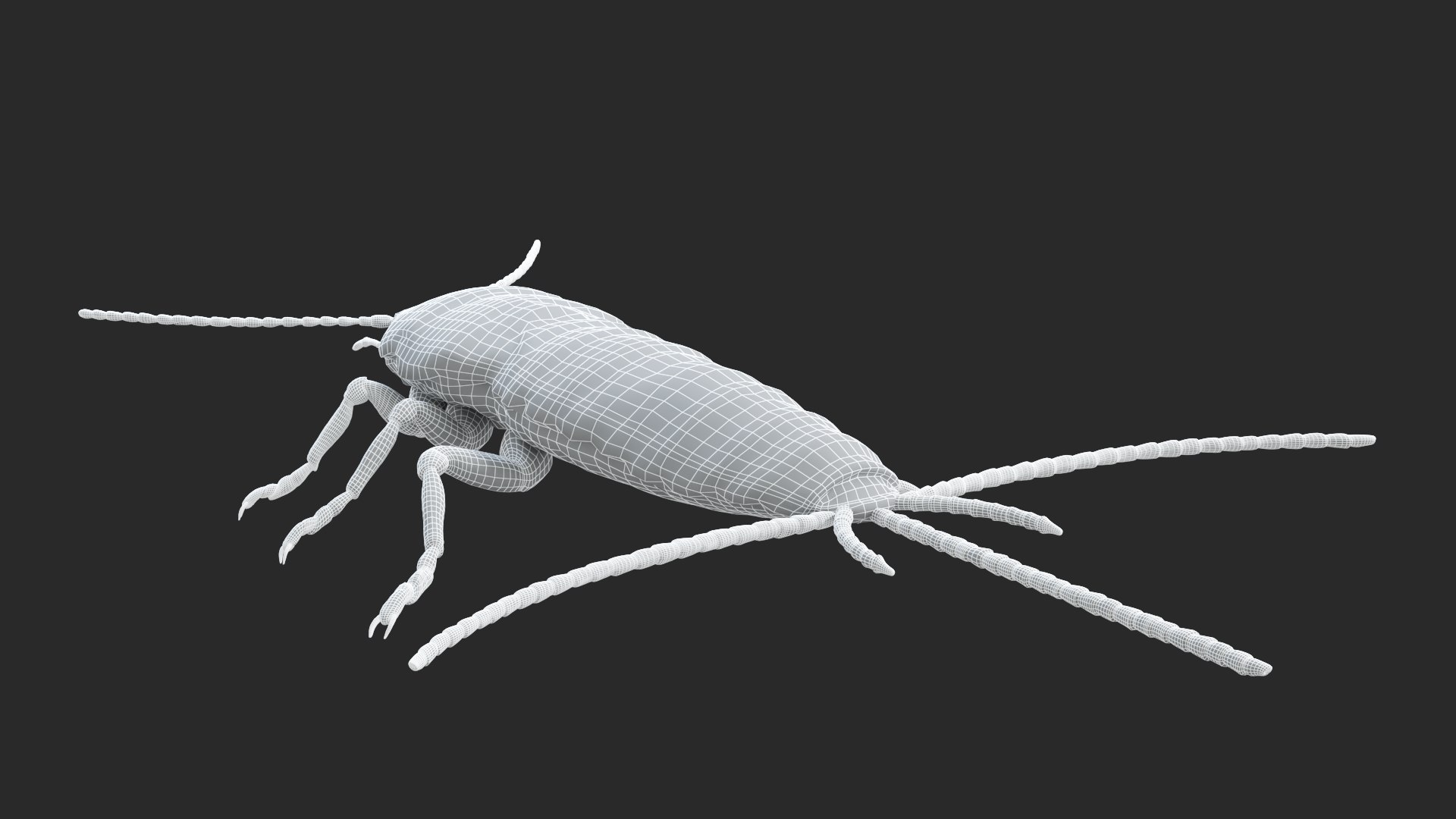 Silverfish Static 3D - TurboSquid 2069560