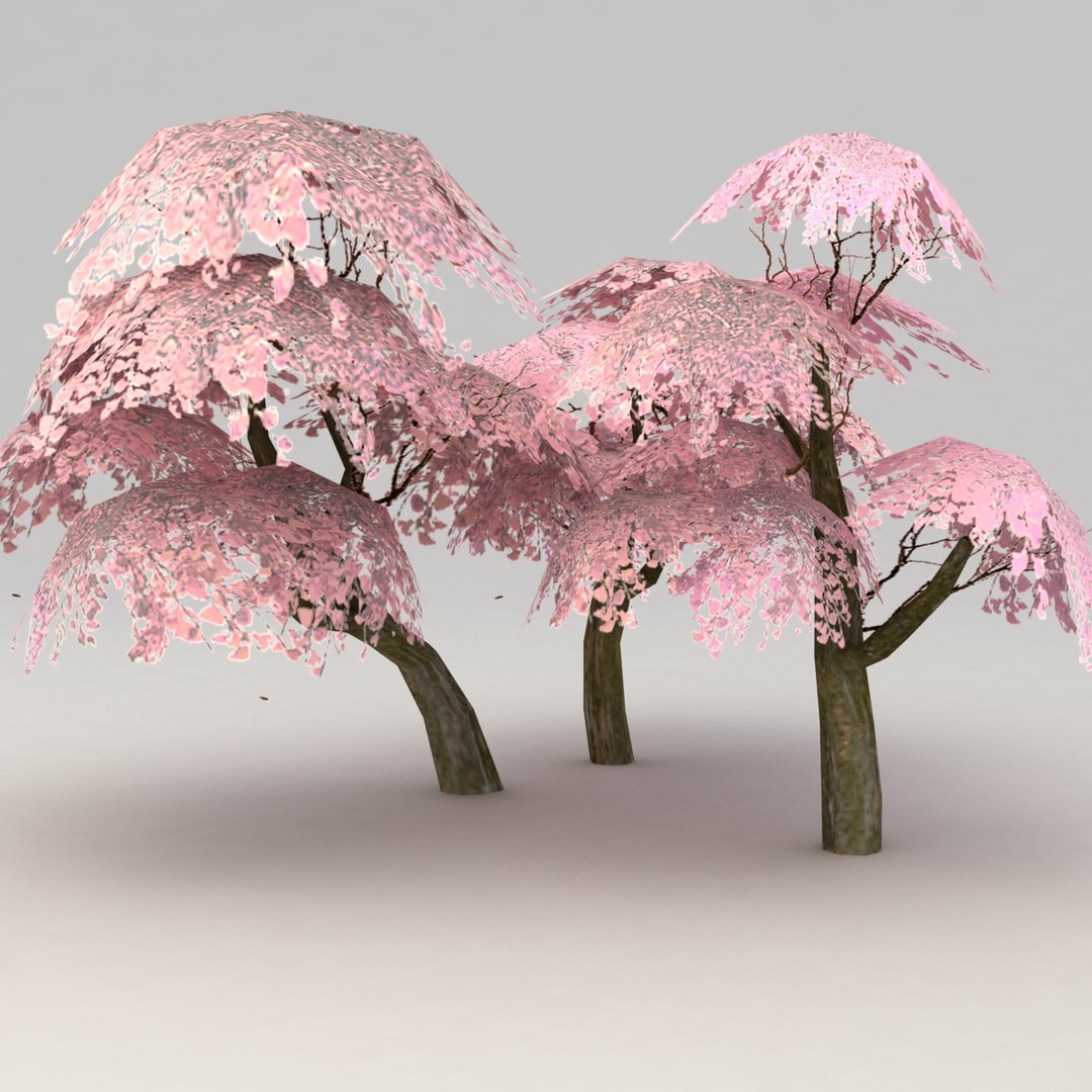 sakura set 3d max