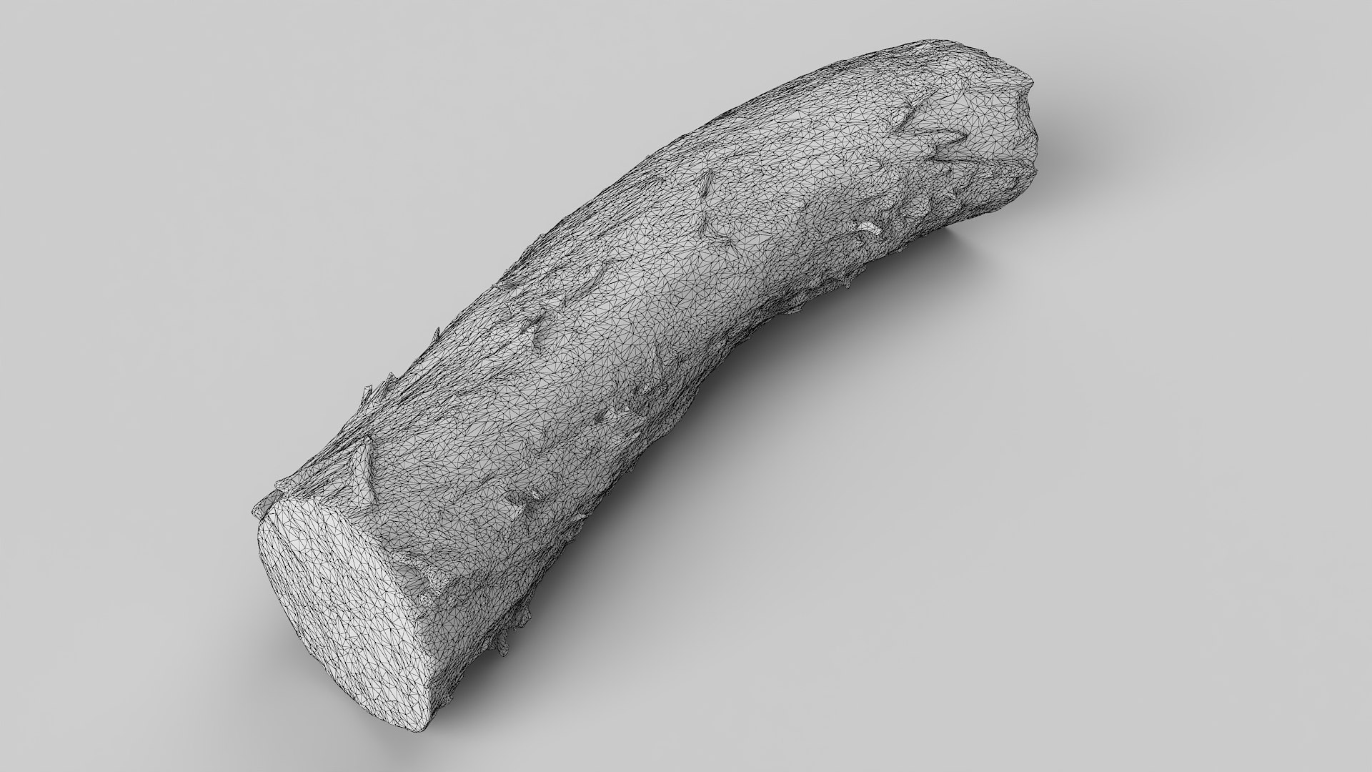 Tree Trunk 02 3D Model - TurboSquid 2136058