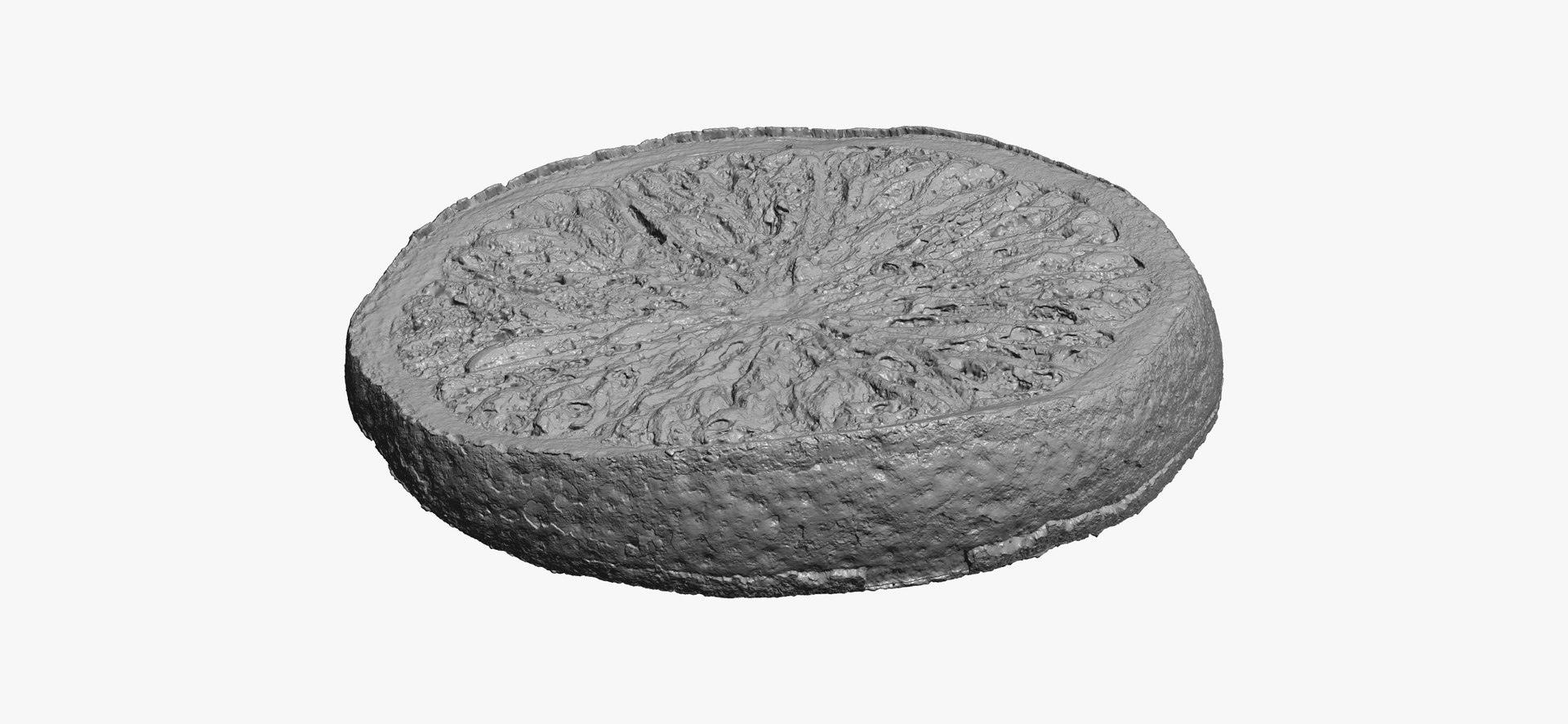 Lime Ring Slice 01 RAW Scan 3D Model - TurboSquid 1726076