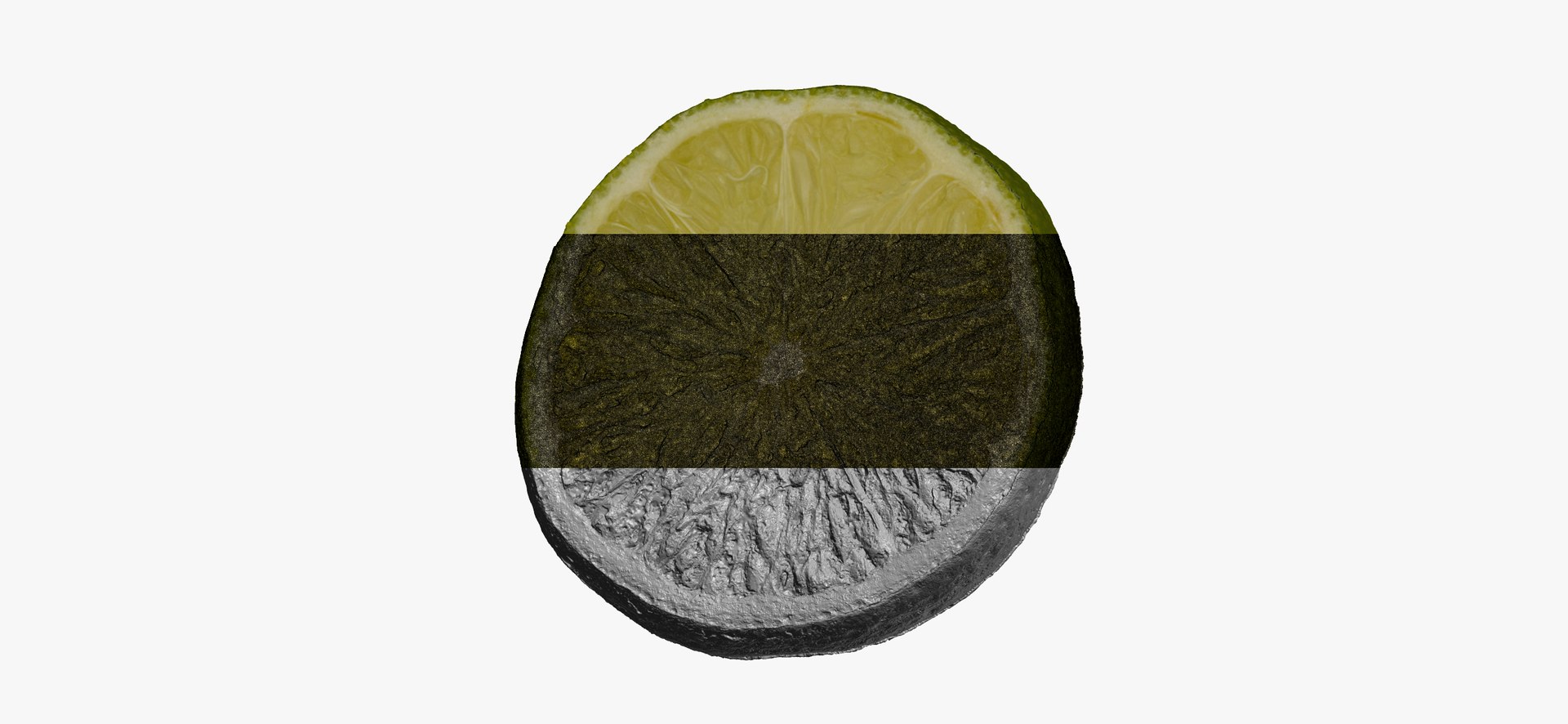 Lime Ring Slice 01 RAW Scan 3D Model - TurboSquid 1726076