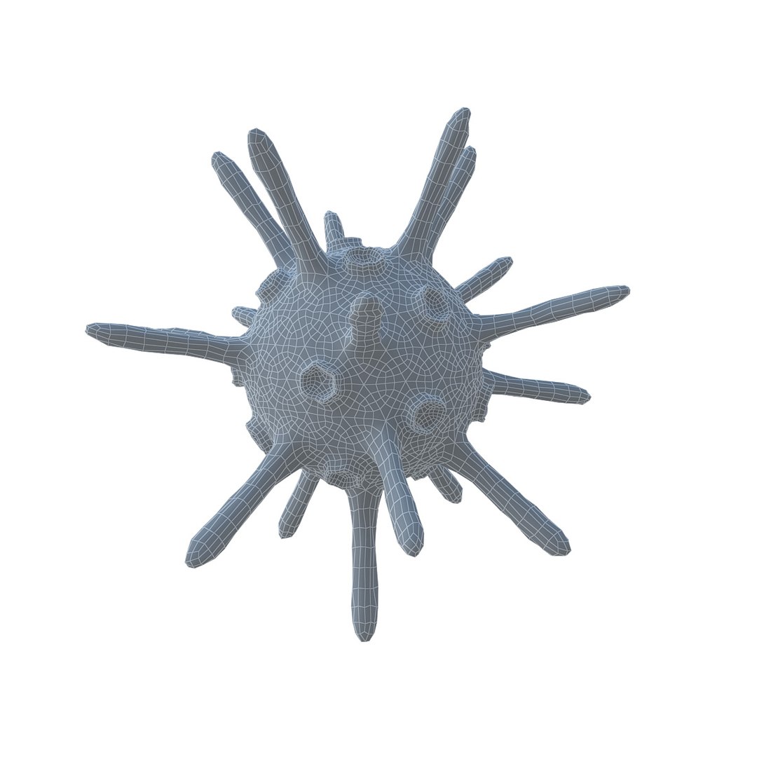 3D Bacteria Model - TurboSquid 1422057